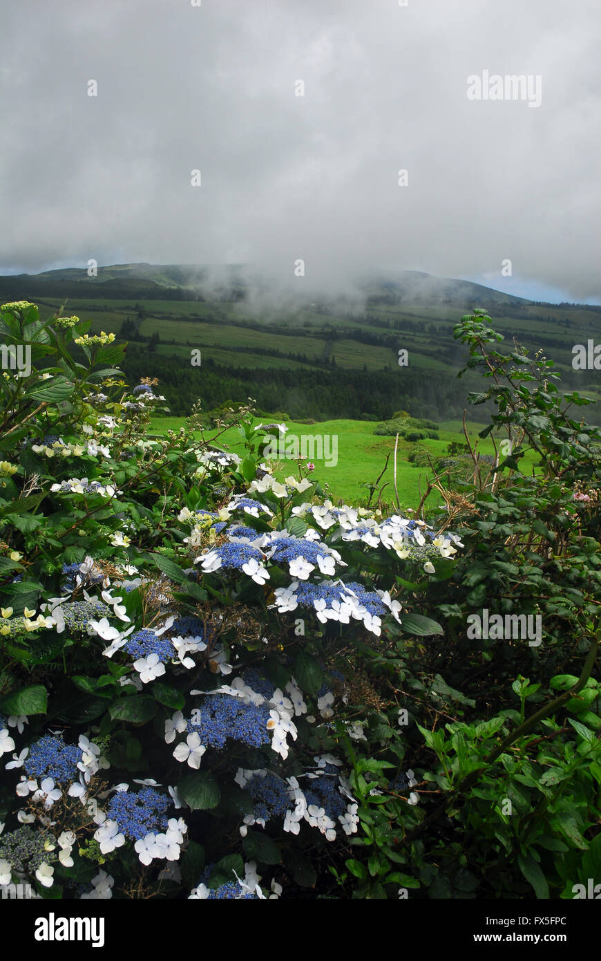Portugal, Azores, Faial, View to Caldeira Stock Photo - Alamy
