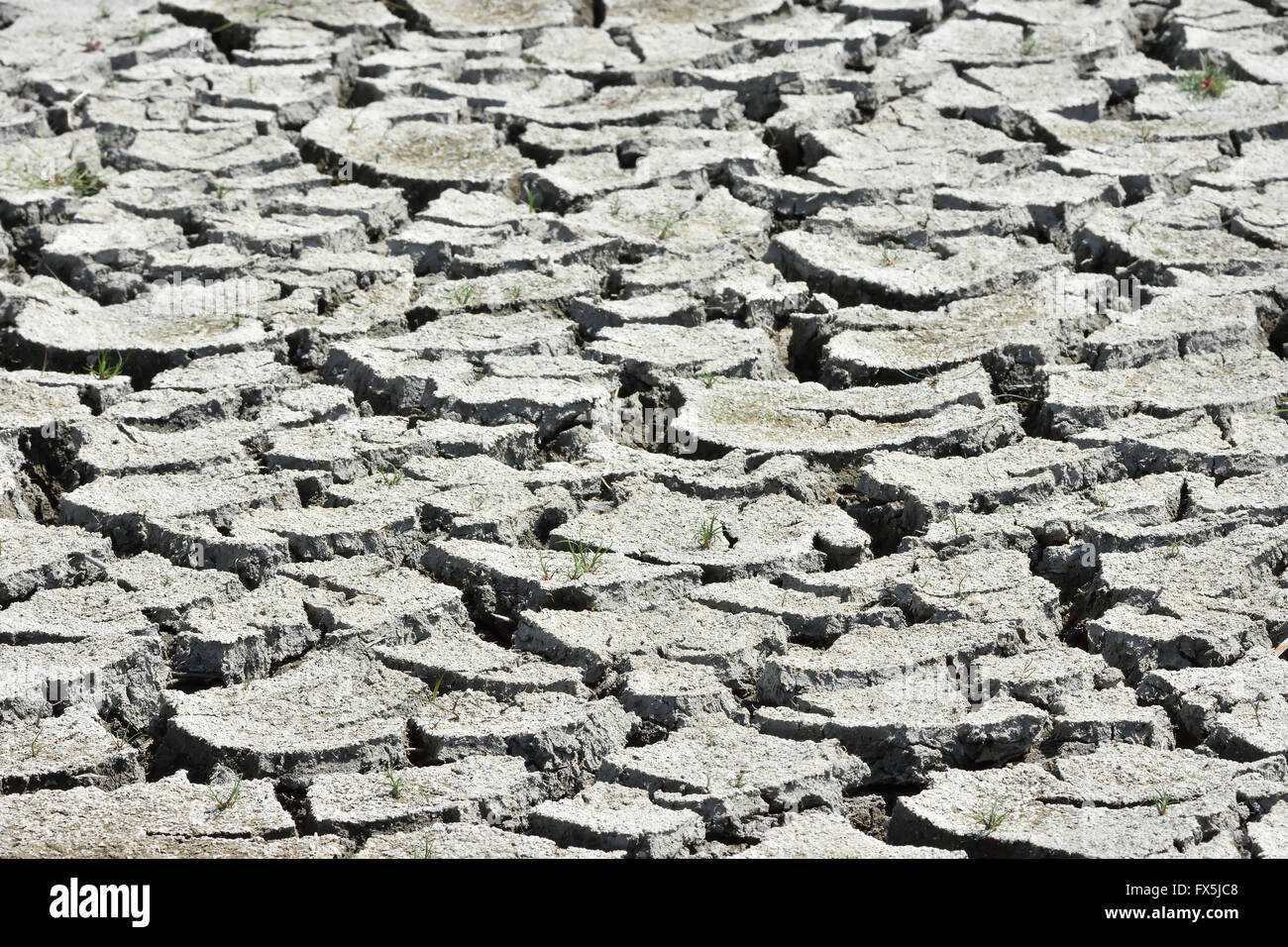 Dried mud making cracks and patterns Stock Photo - Alamy