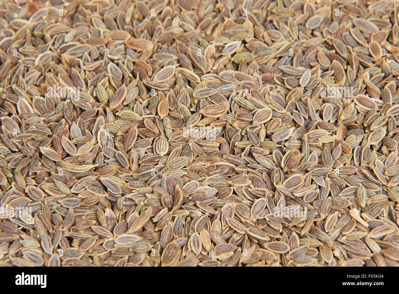 Plant seeds hi-res stock photography and images - Alamy