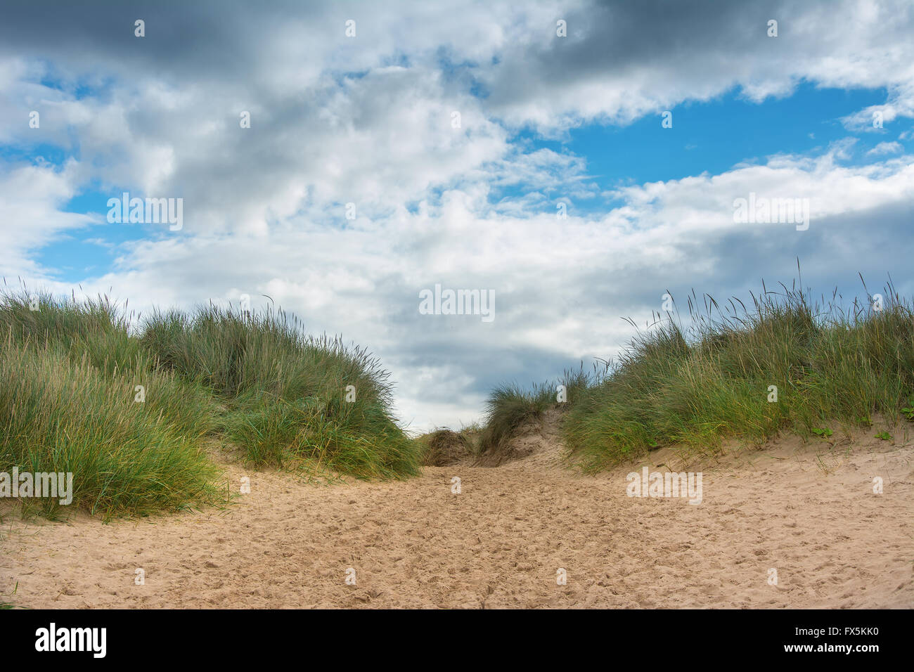 Footpath through sand dunes with blue sky ahead Stock Photo - Alamy