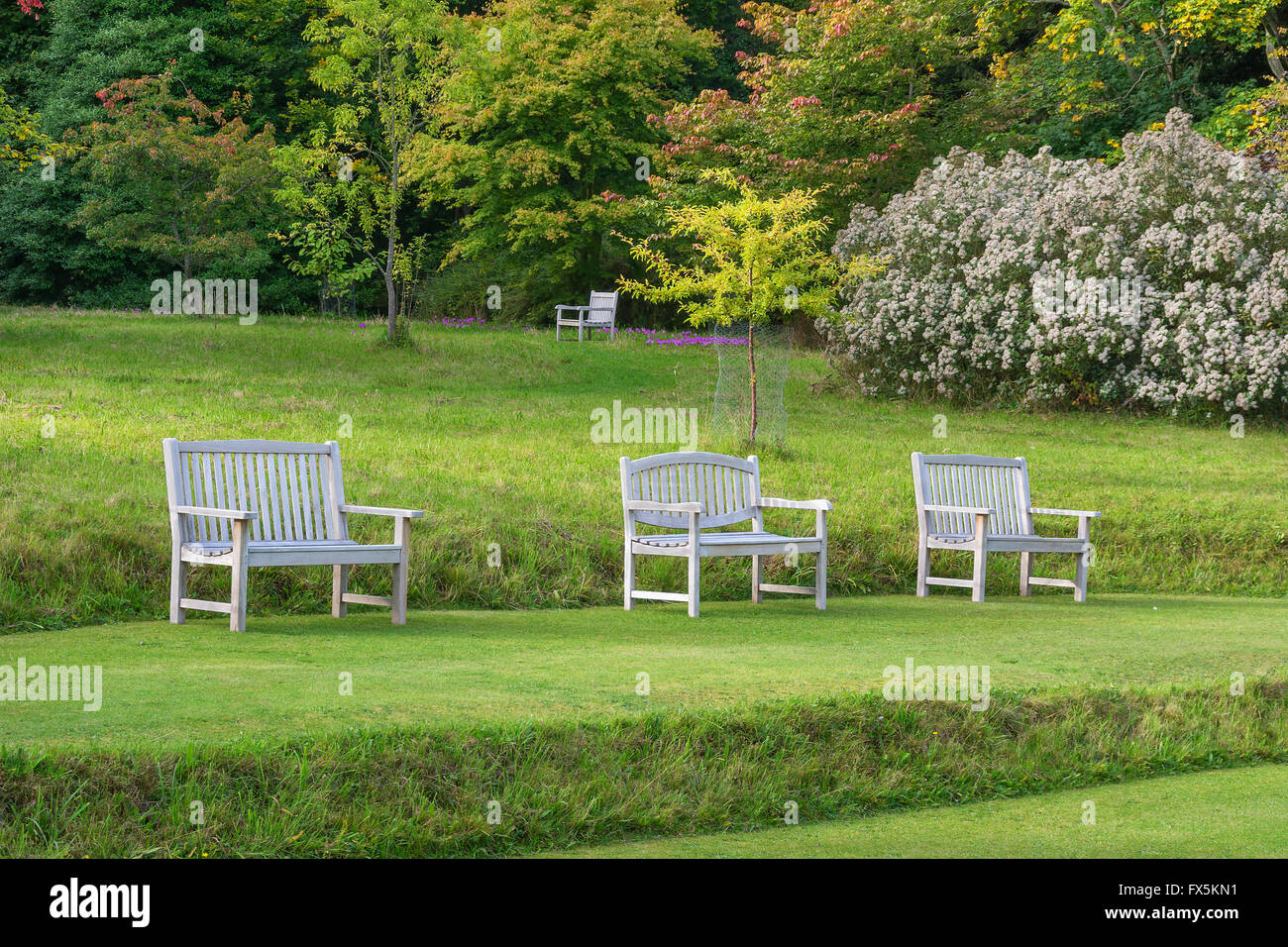 Wooden garden benches hi-res stock photography and images - Alamy