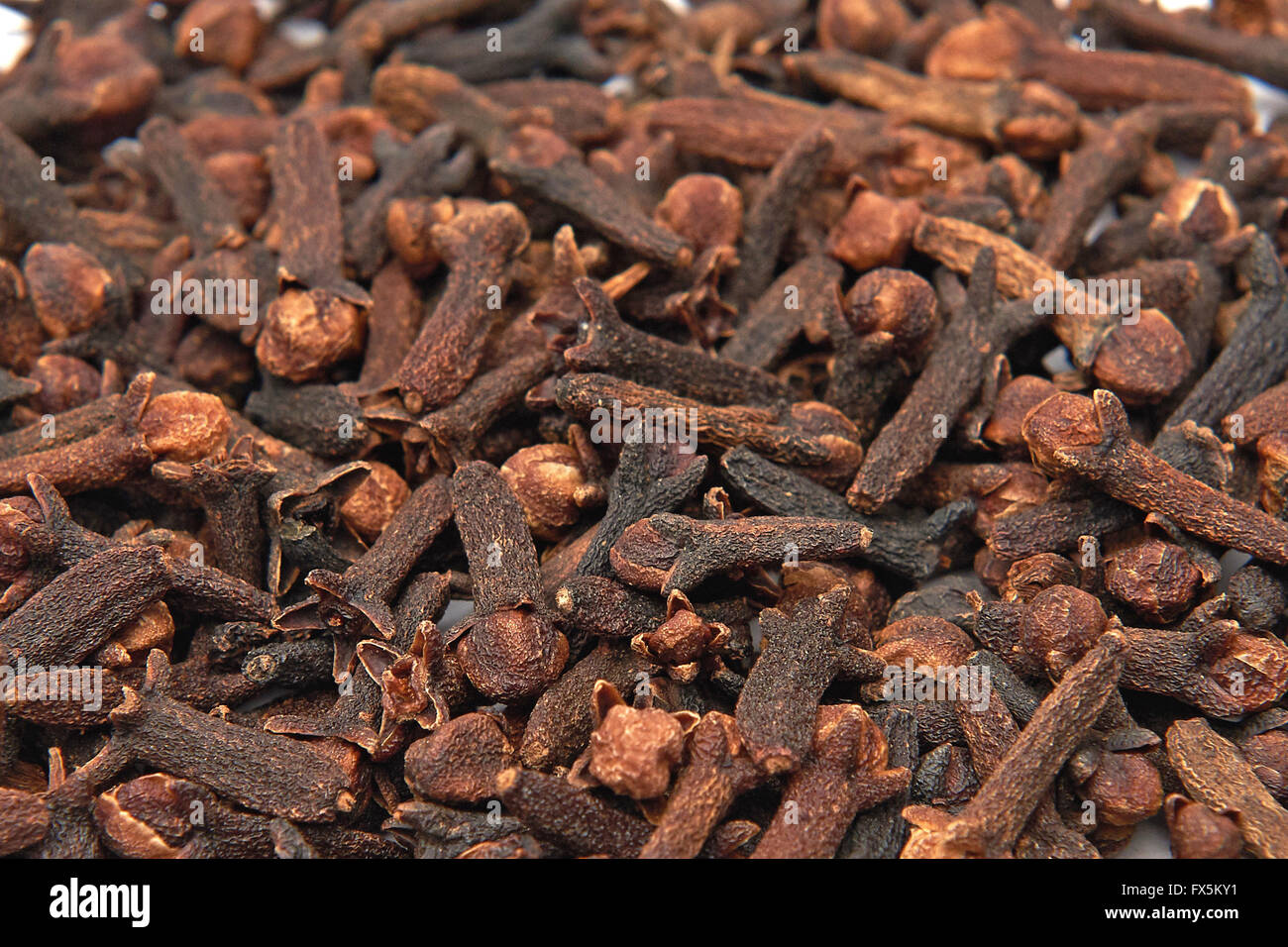 Closeup image of the Indonesian spice dried cloves Stock Photo - Alamy