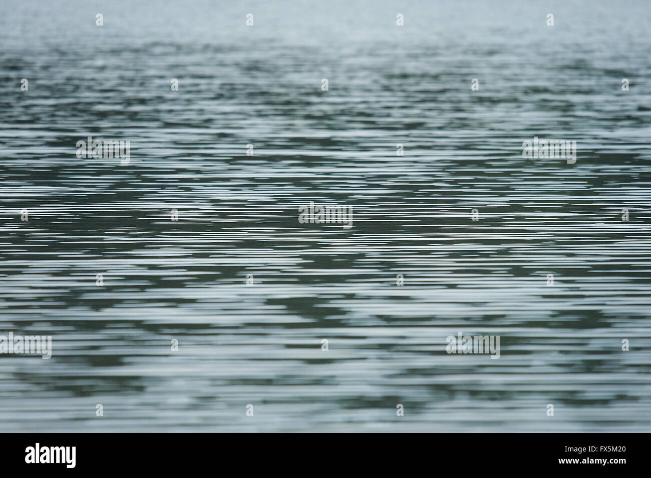 Water ripples on a lake hi-res stock photography and images - Alamy