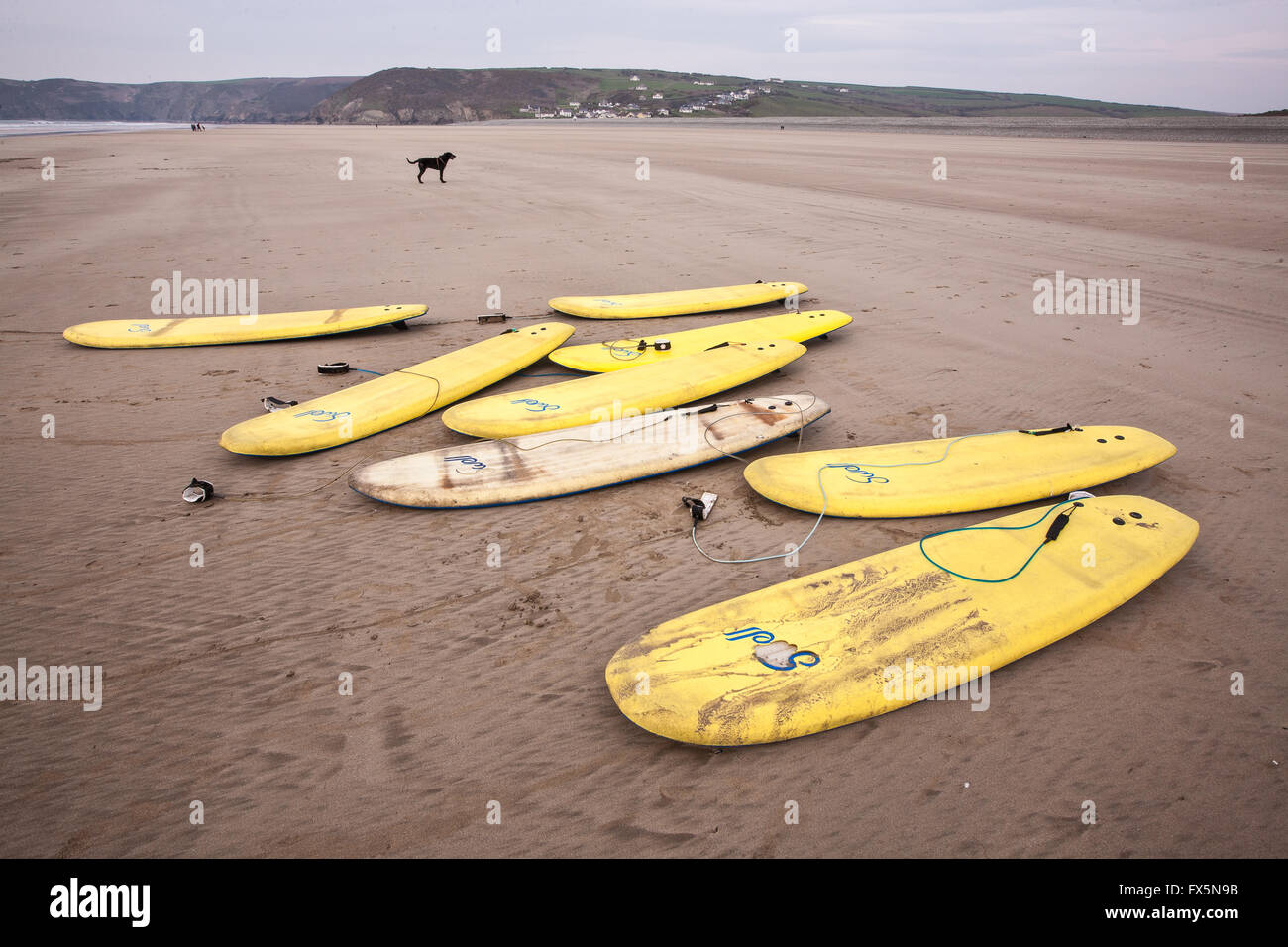 Surfboards at surf training school on quiet out-of-season Newgale Beach ...