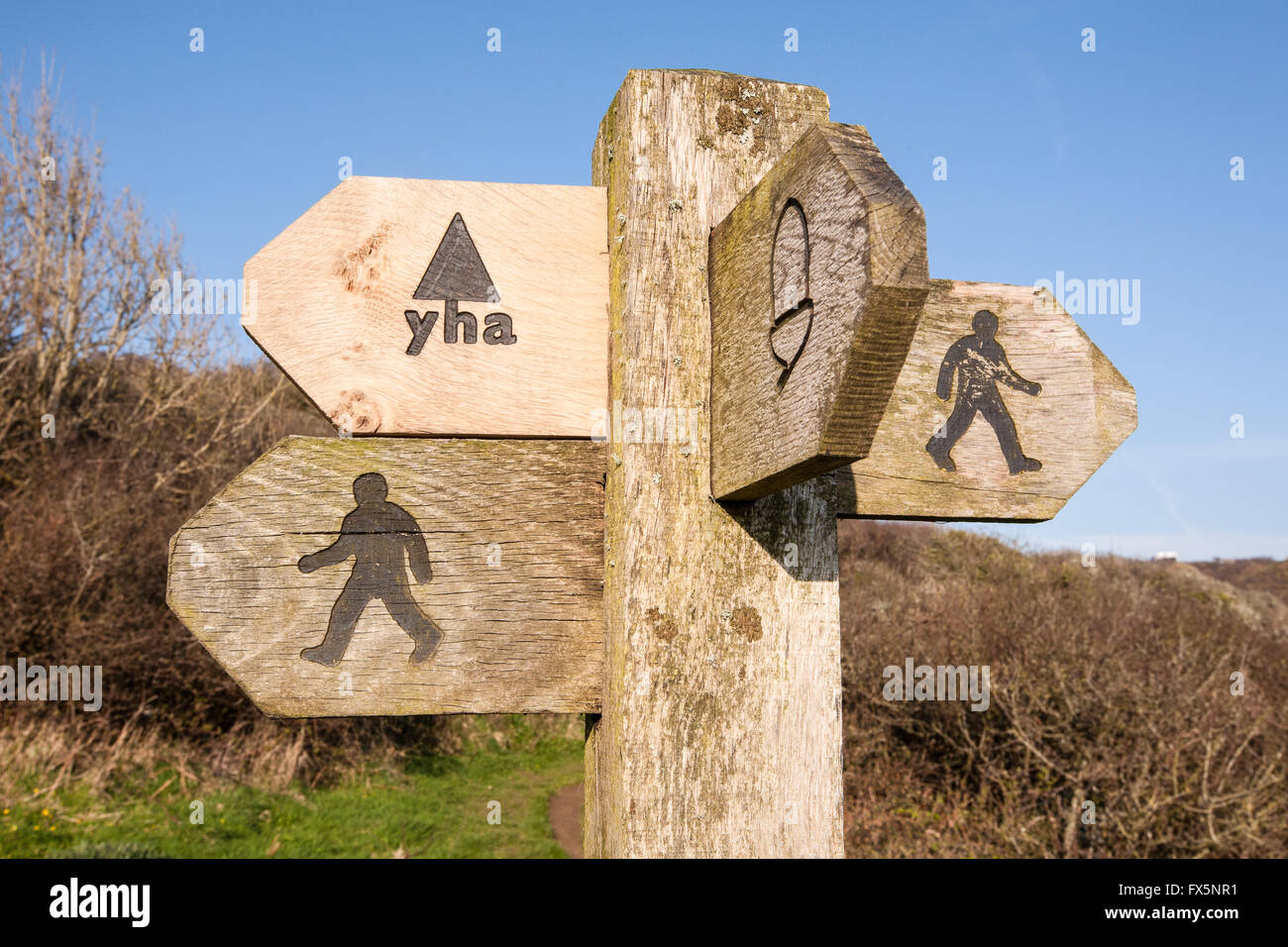 Signpost, finger post along Pembrokeshire Coast Path near St David's ...