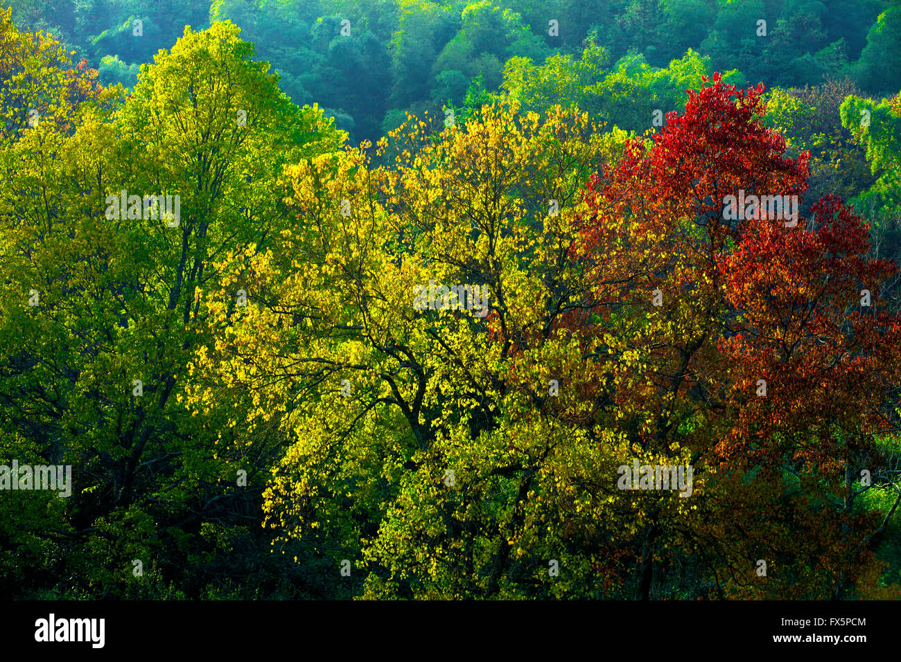 Beautiful scene in hong village hi-res stock photography and images - Alamy