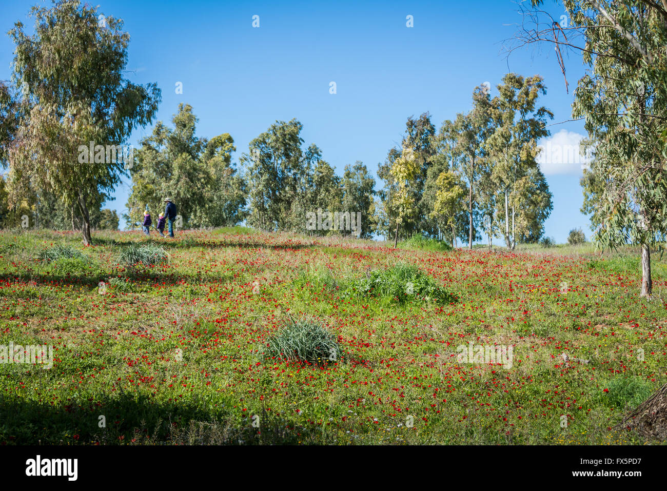 Darom adom festival hi-res stock photography and images - Alamy