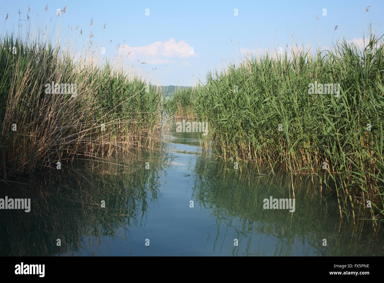 Hungary balaton fishing hi-res stock photography and images - Alamy