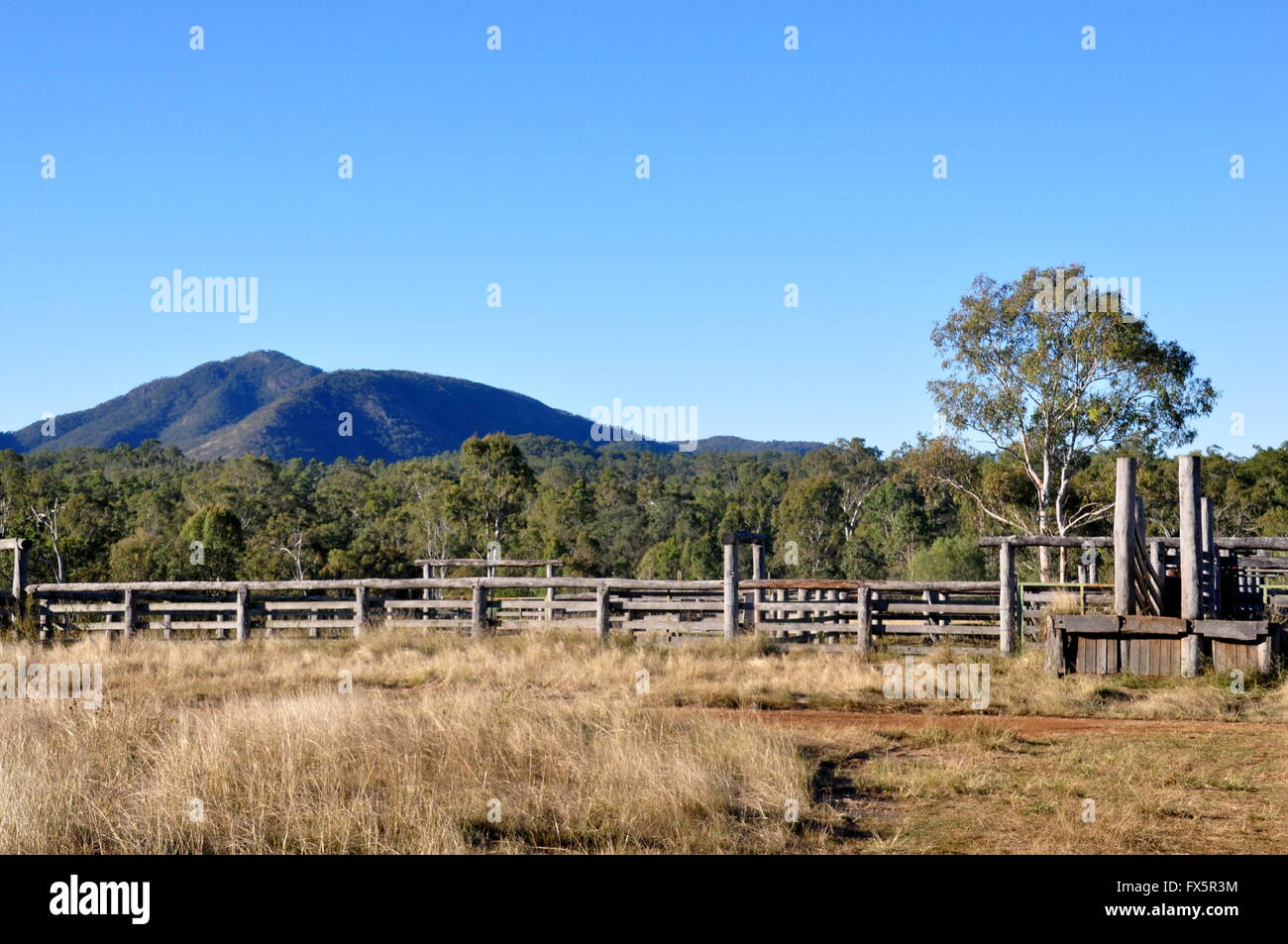 AUSTRALIAN OUTBACK CATTLE STATION Stock Photo - Alamy