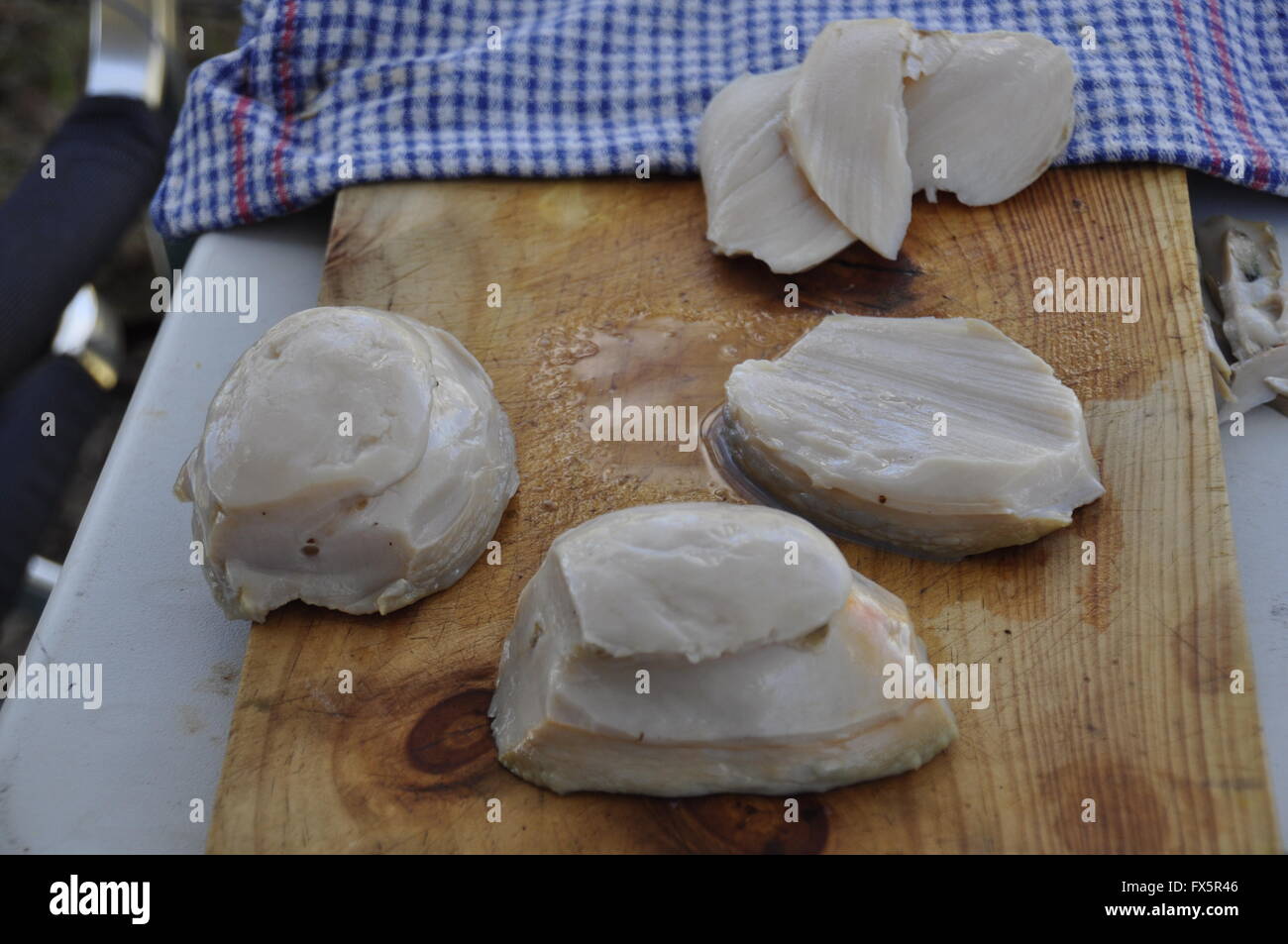 Preparation of Australian Green Lip Abalone Stock Photo - Alamy