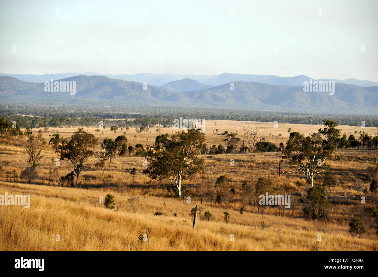 AUSTRALIAN OUTBACK CATTLE STATION Stock Photo - Alamy