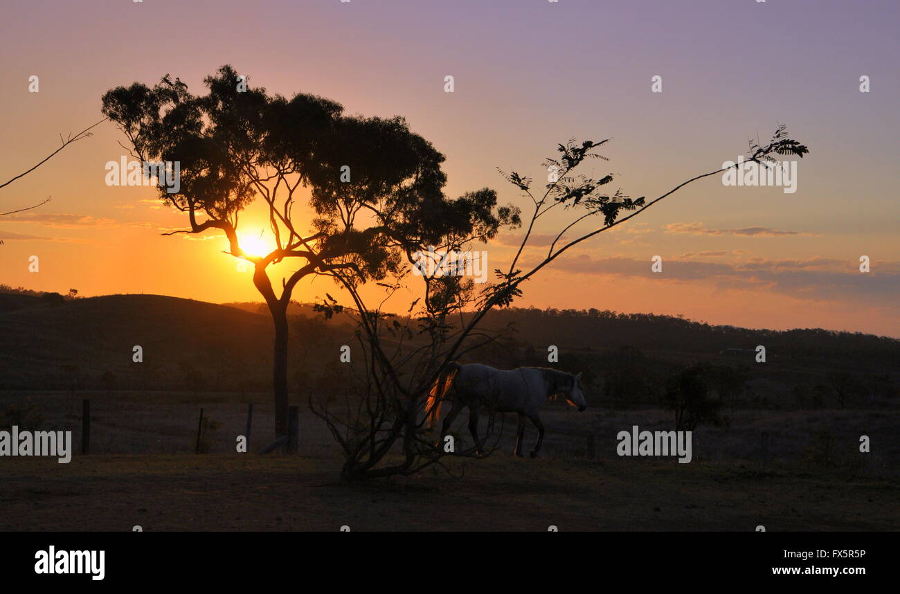 AUSTRALIAN OUTBACK SUNSET Stock Photo - Alamy