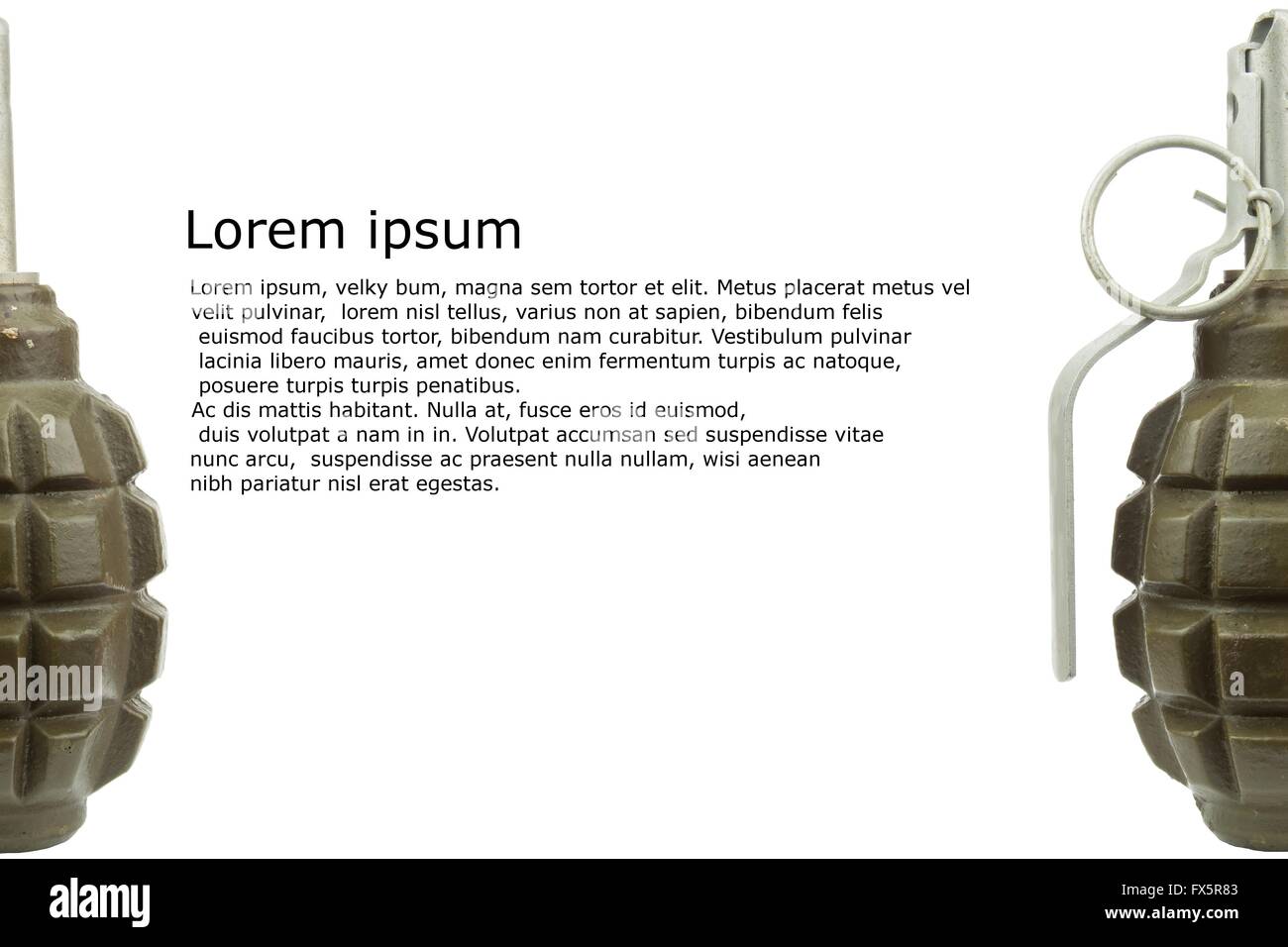 Hand grenade. Weapon of terrorists. Sales of weapons. Place for your ...