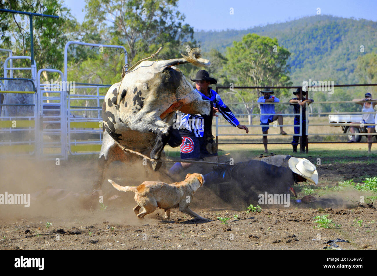 AUSTRALIAN OUTBACK BUSH CULTURE Stock Photo - Alamy