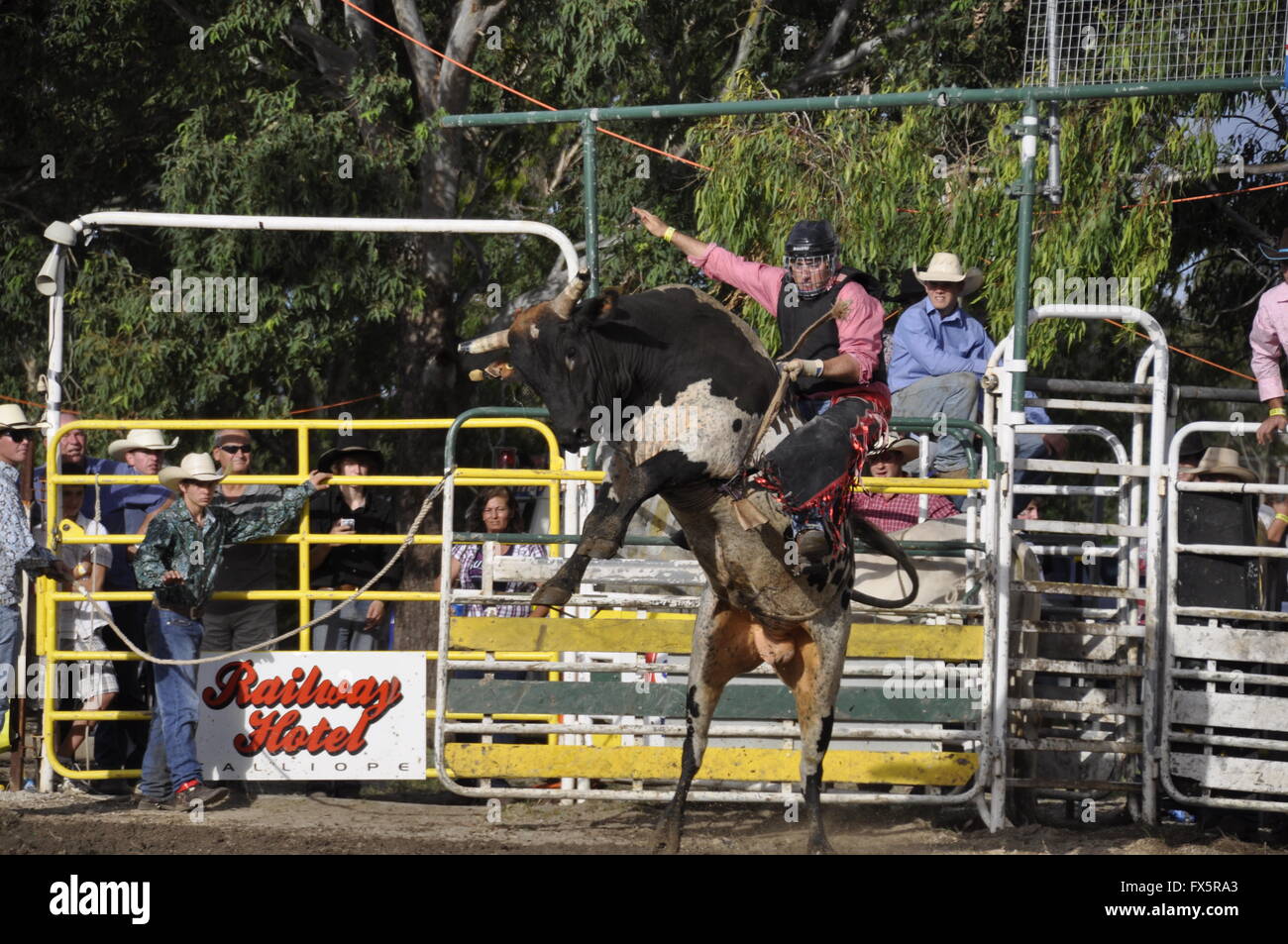 Australian Rodeo High Resolution Stock Photography and Images - Alamy
