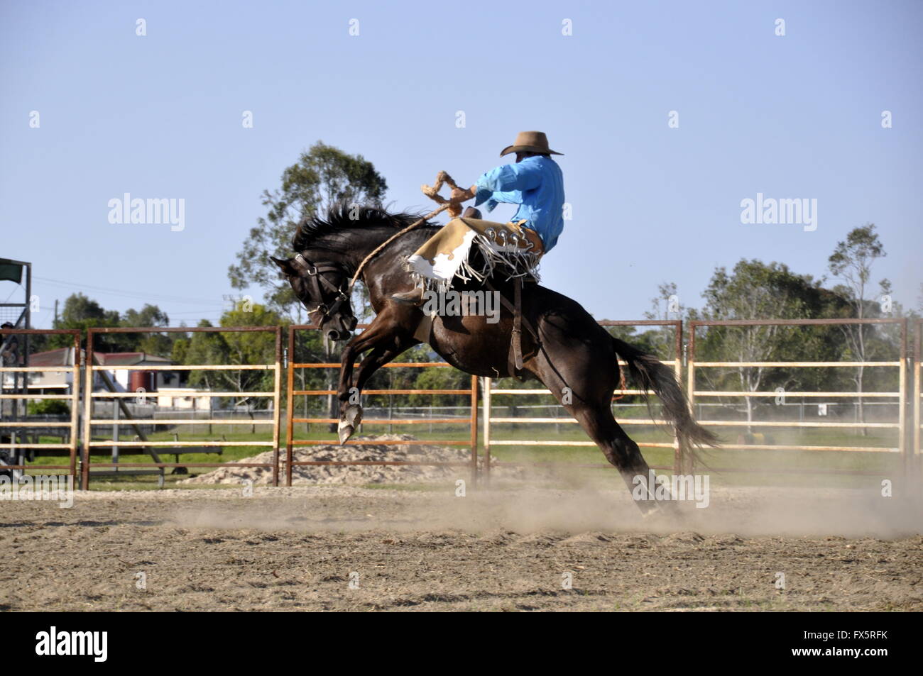 Australian Rodeo High Resolution Stock Photography and Images - Alamy