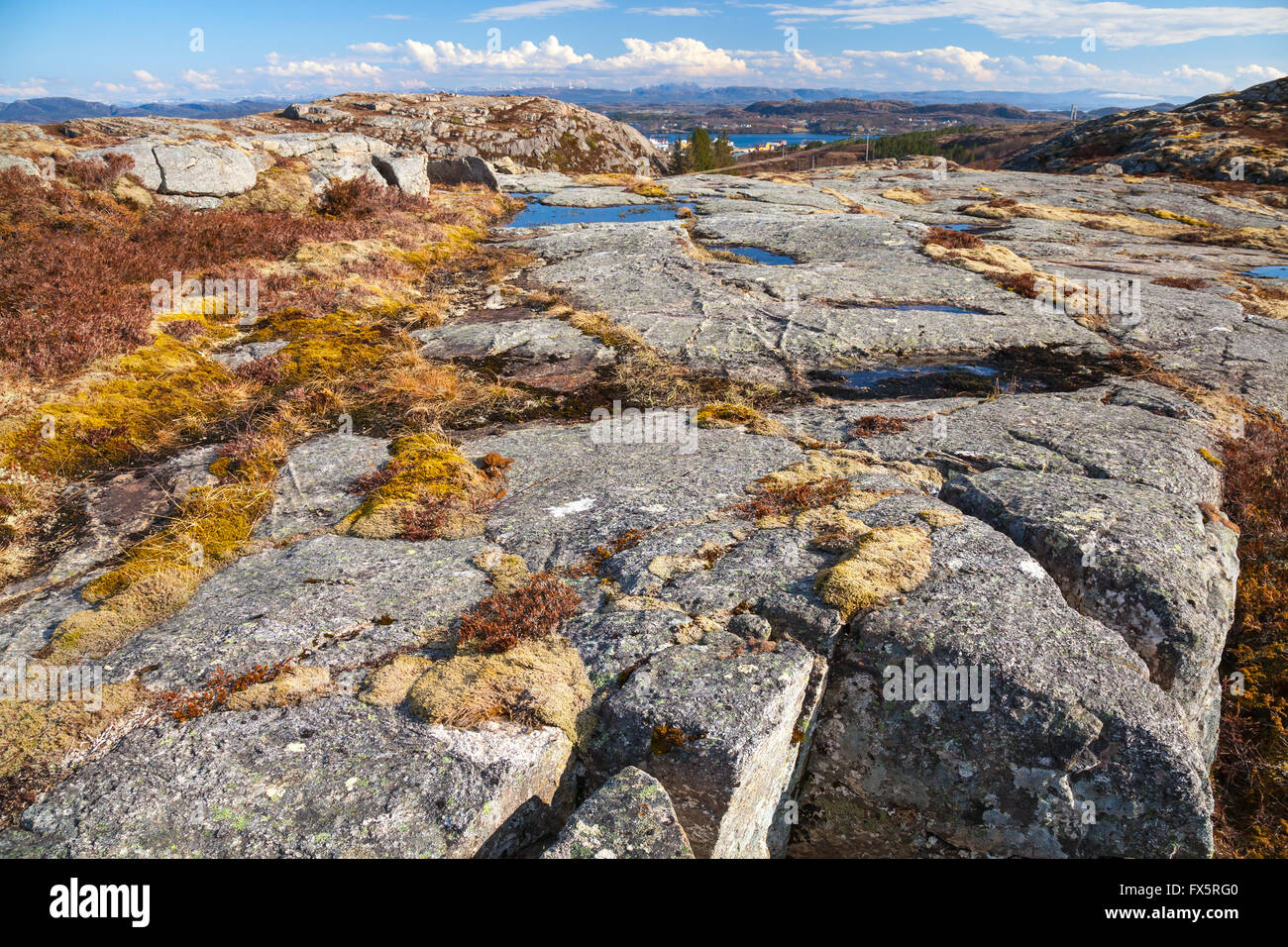 Colorful moss hi-res stock photography and images - Alamy