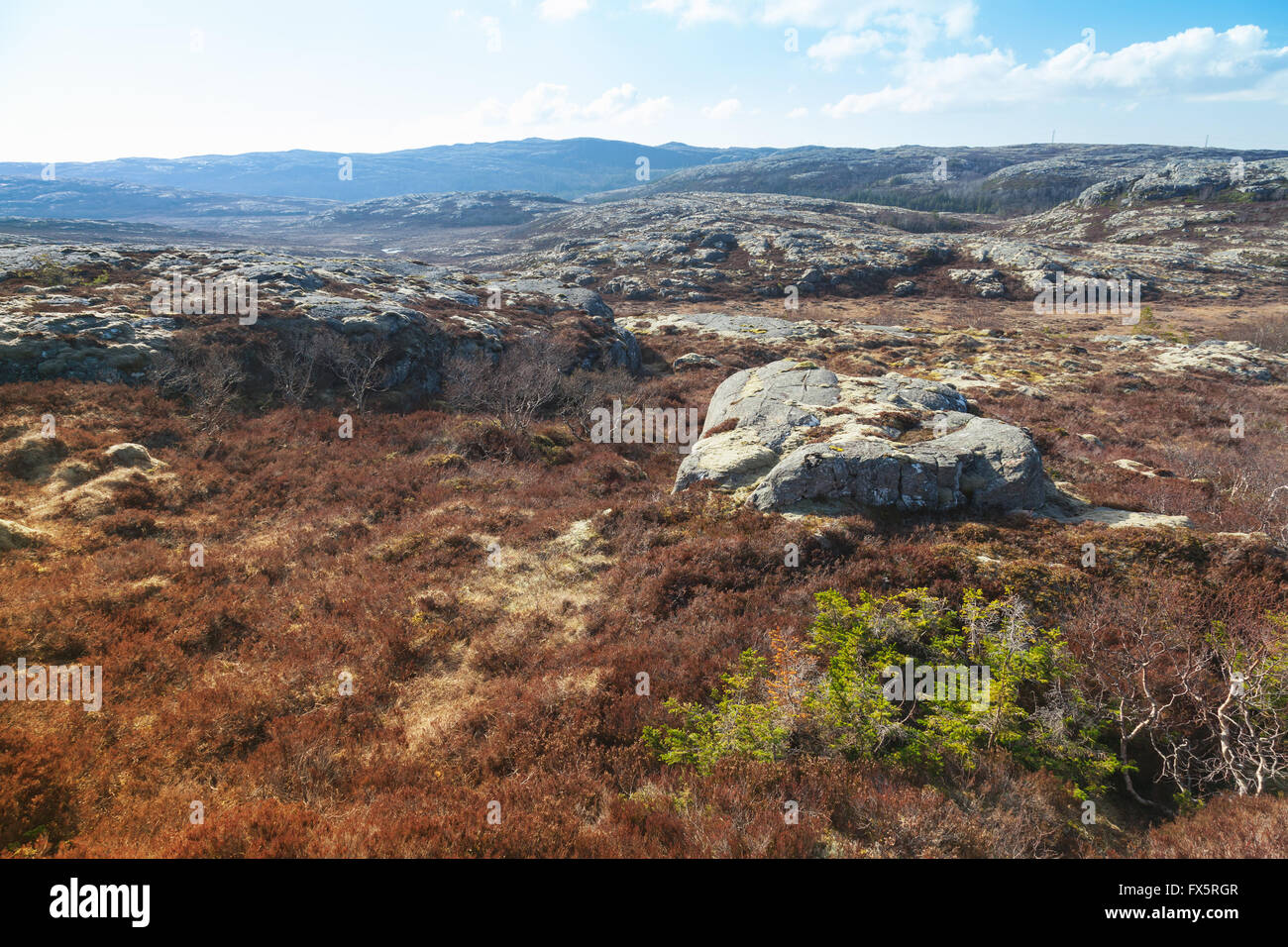Norwegian moss hi-res stock photography and images - Alamy