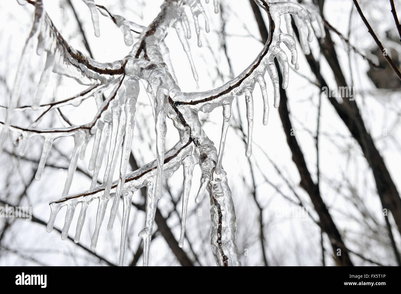 Close up of melting ice in spring Stock Photo - Alamy