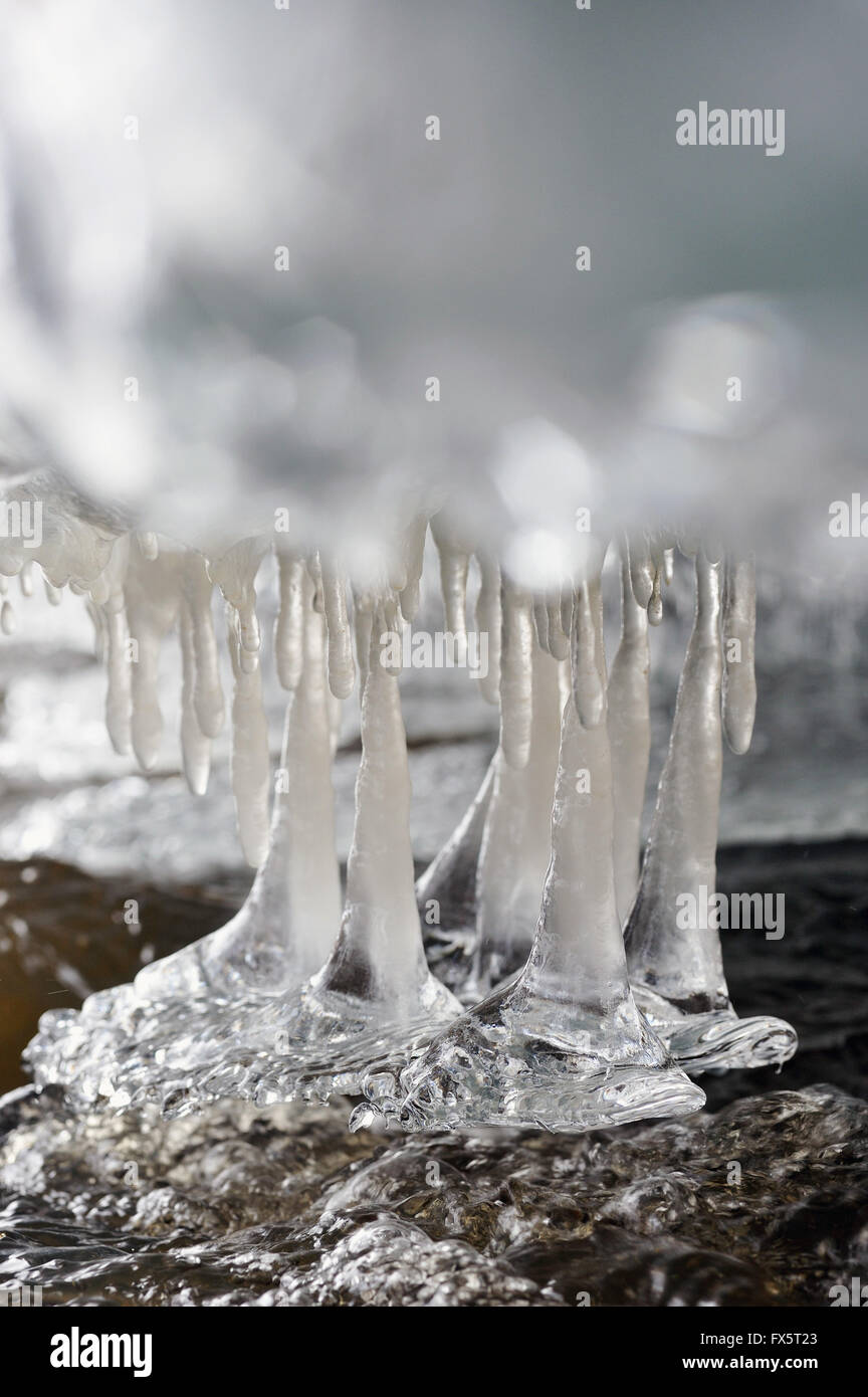 Close up of melting ice in spring Stock Photo - Alamy