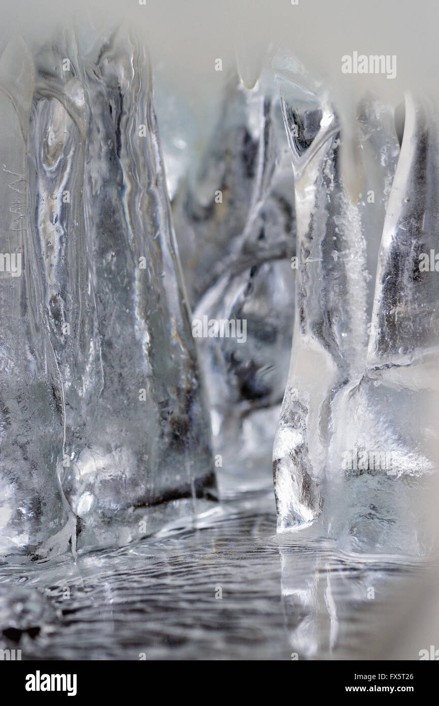 Close up of melting ice in spring Stock Photo - Alamy
