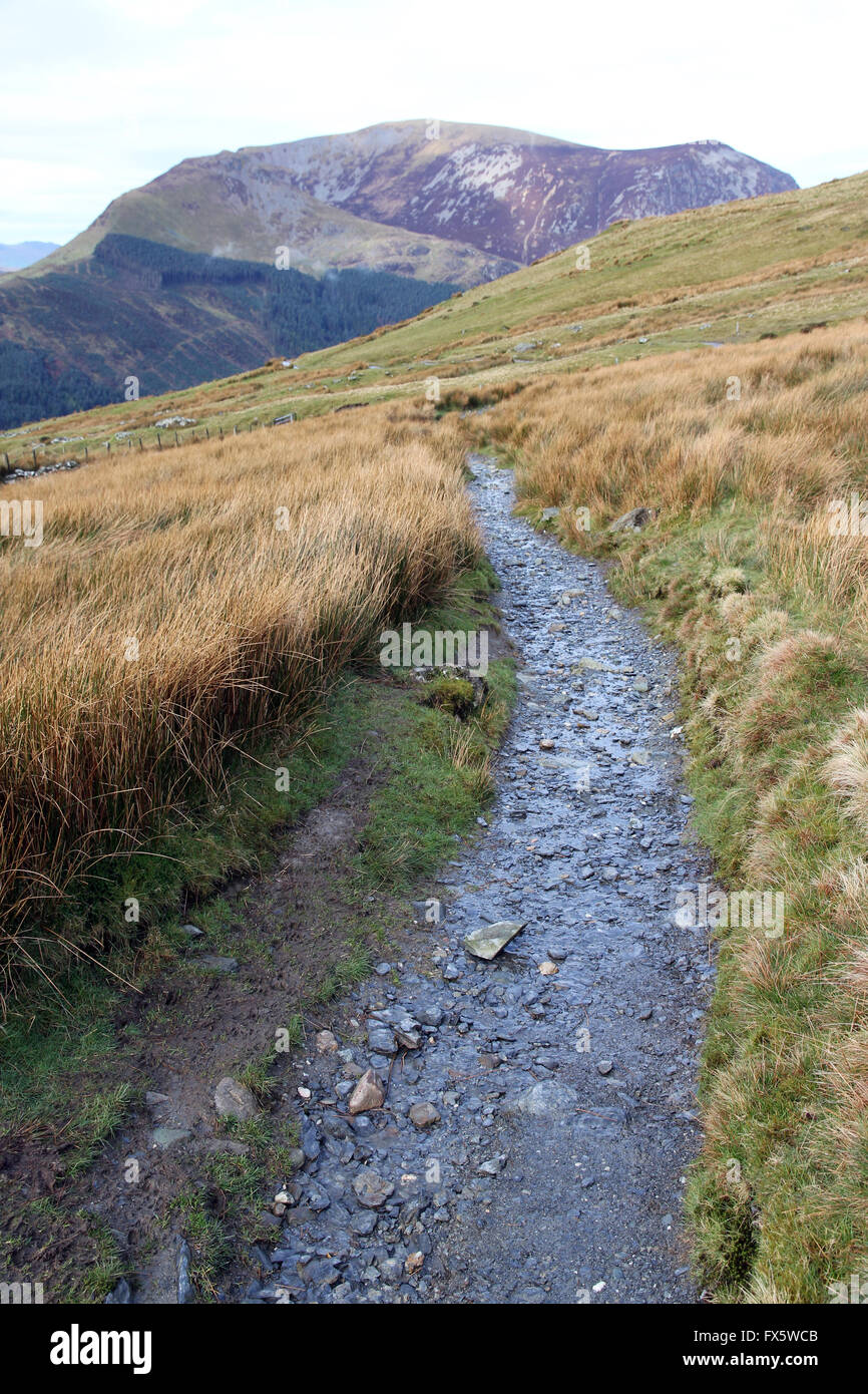 Snowdon Ranger track, Snowdonia, Wales Stock Photo - Alamy