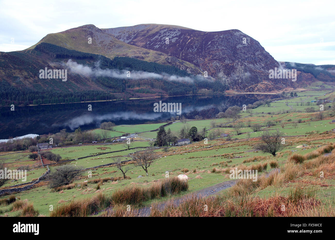 Snowdon Ranger track, Snowdonia, Wales Stock Photo - Alamy
