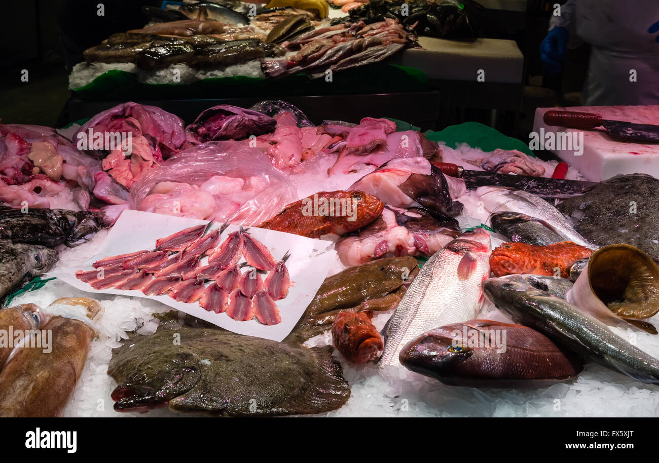 freshly caught fish on display Stock Photo - Alamy