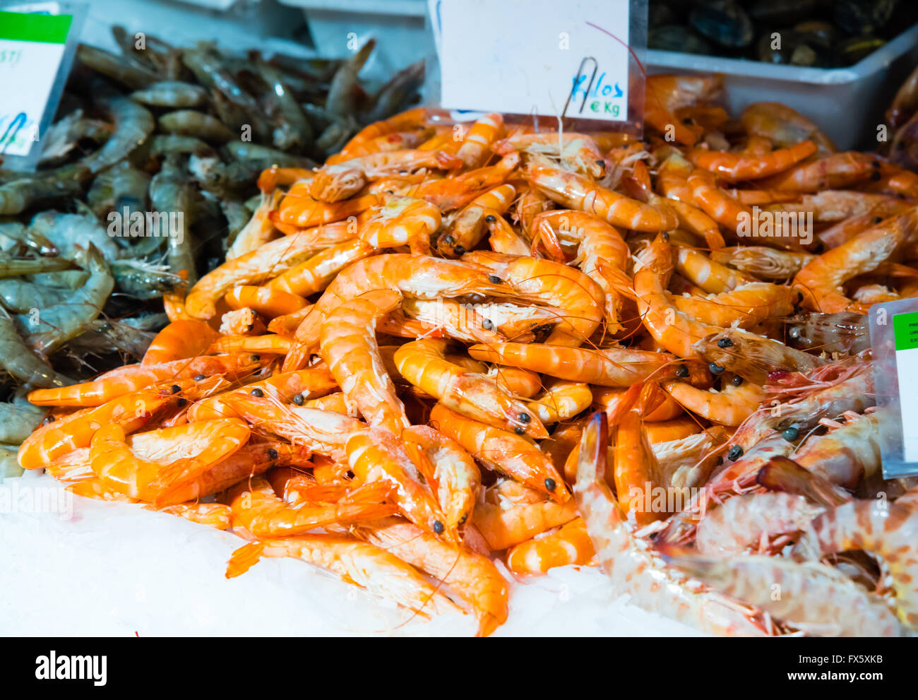 Shellfish display hi-res stock photography and images - Alamy