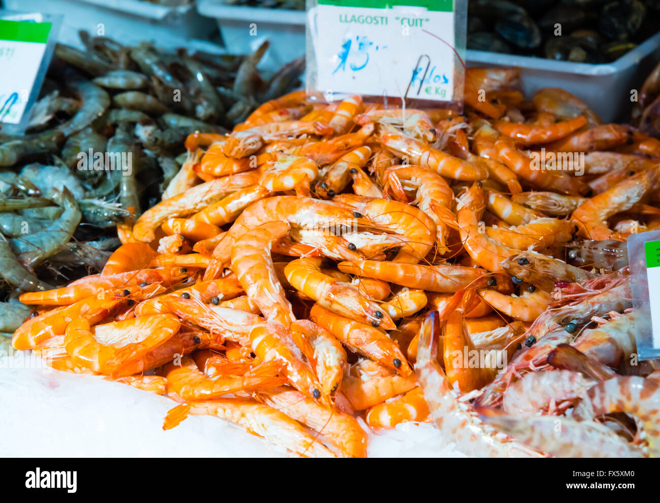 Shellfish display hi-res stock photography and images - Alamy