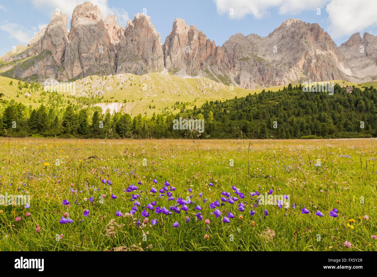 Meadow in Val Gardena, Selva, italy, with mountains in the background ...