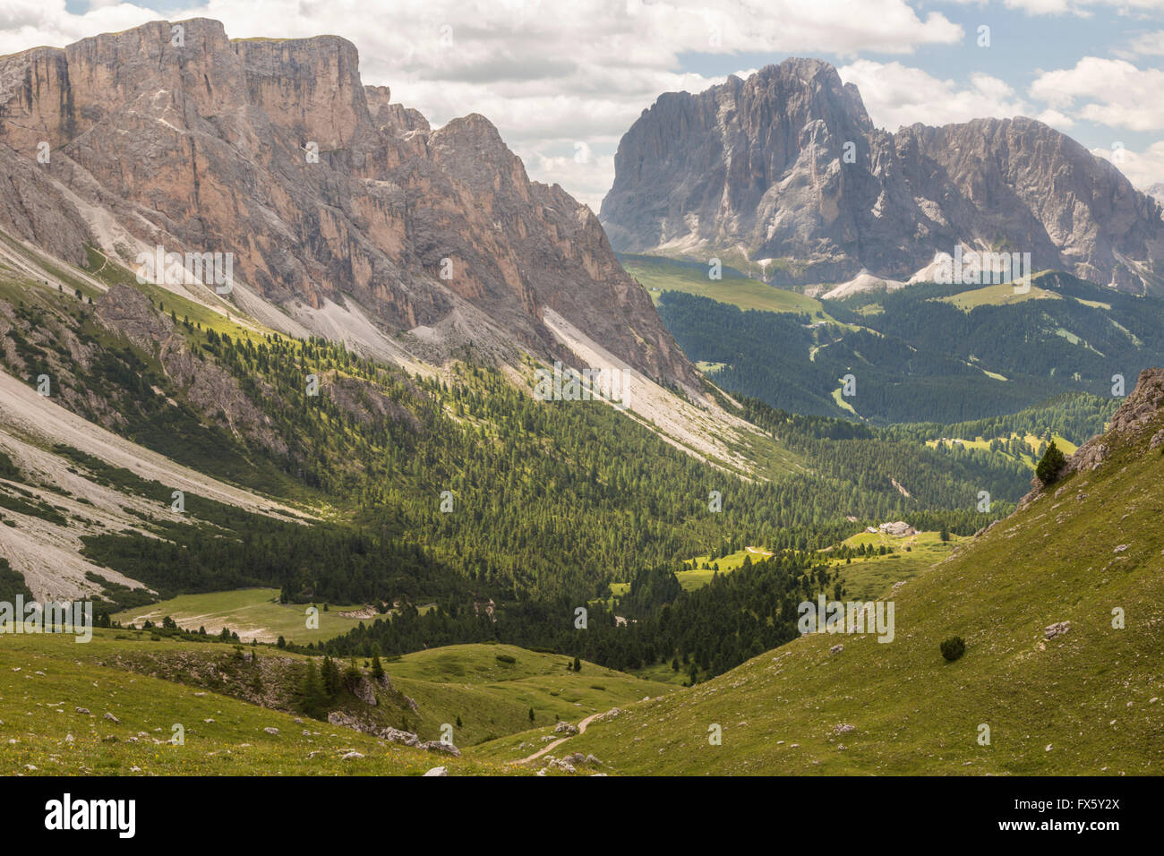 Col raiser hi-res stock photography and images - Alamy