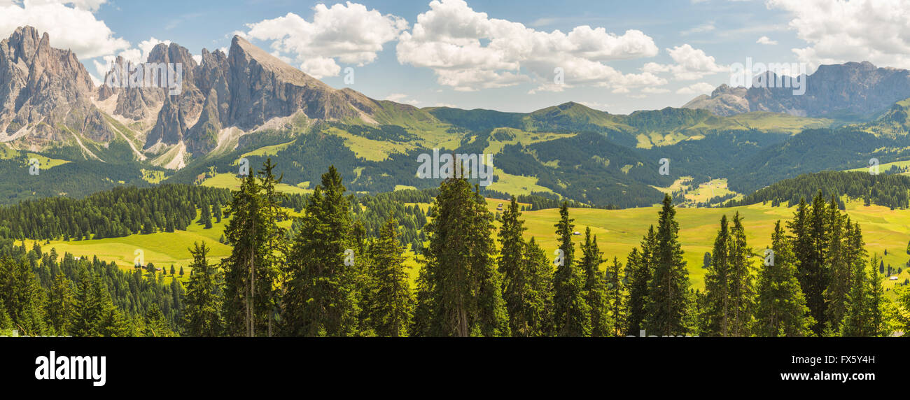 The Dolomites with trees and forest, Selva, val Gardena, Dolomites ...