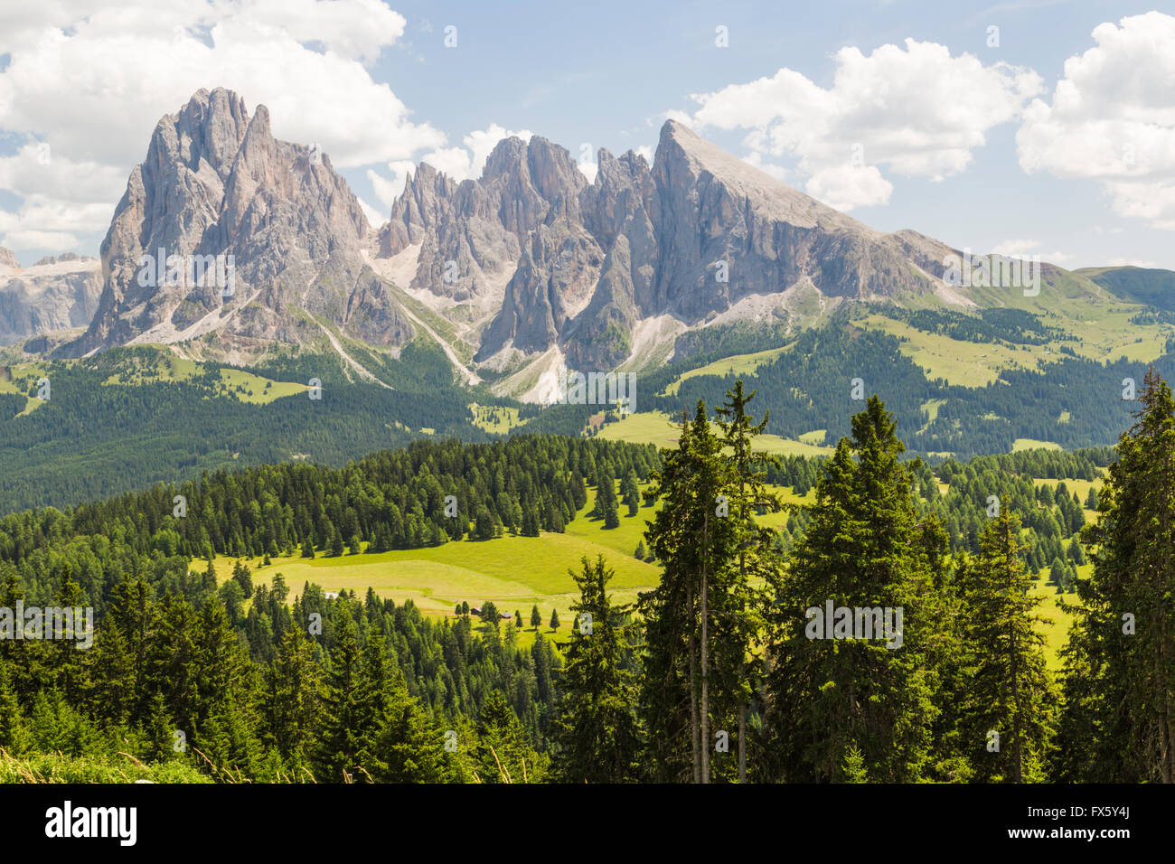 The Dolomites with trees and forest, Selva, val Gardena, Dolomites ...