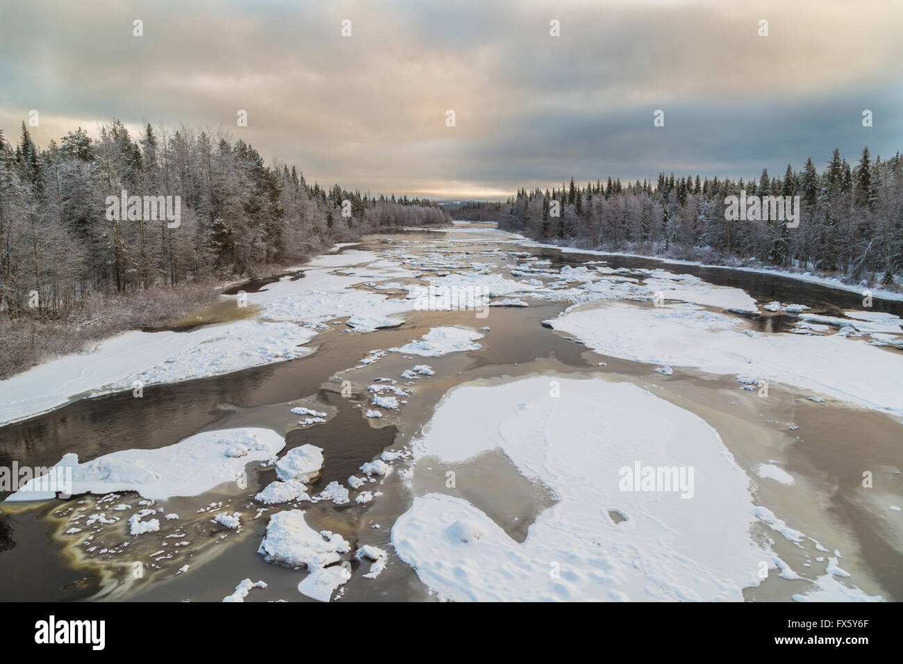Lina river with ice floes and snow on the trees, with cloudy sky but ...