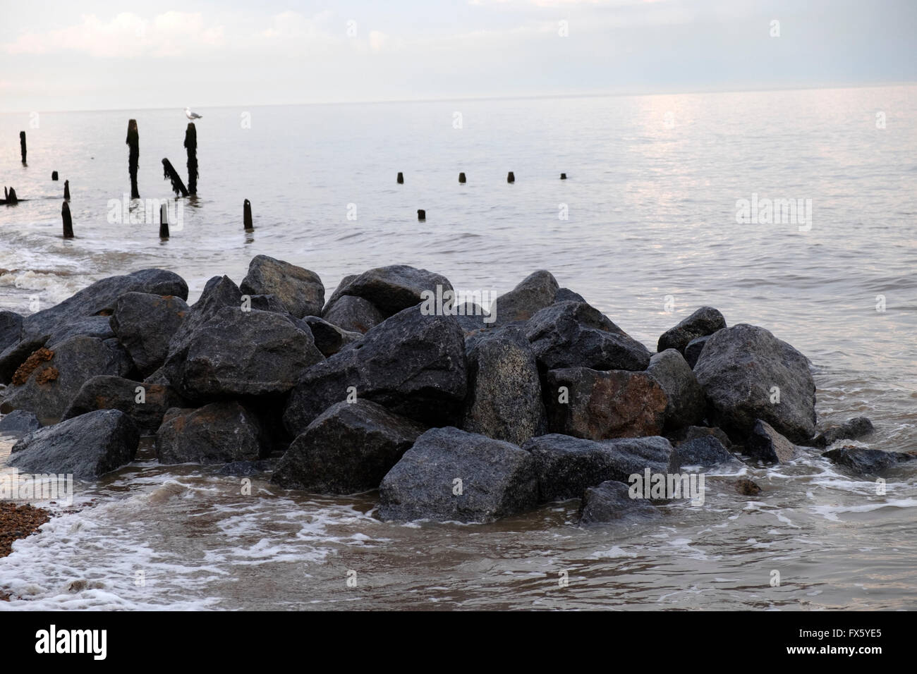 rock armour, protection against coastal erosion, Bawdsey Ferry, Suffolk ...