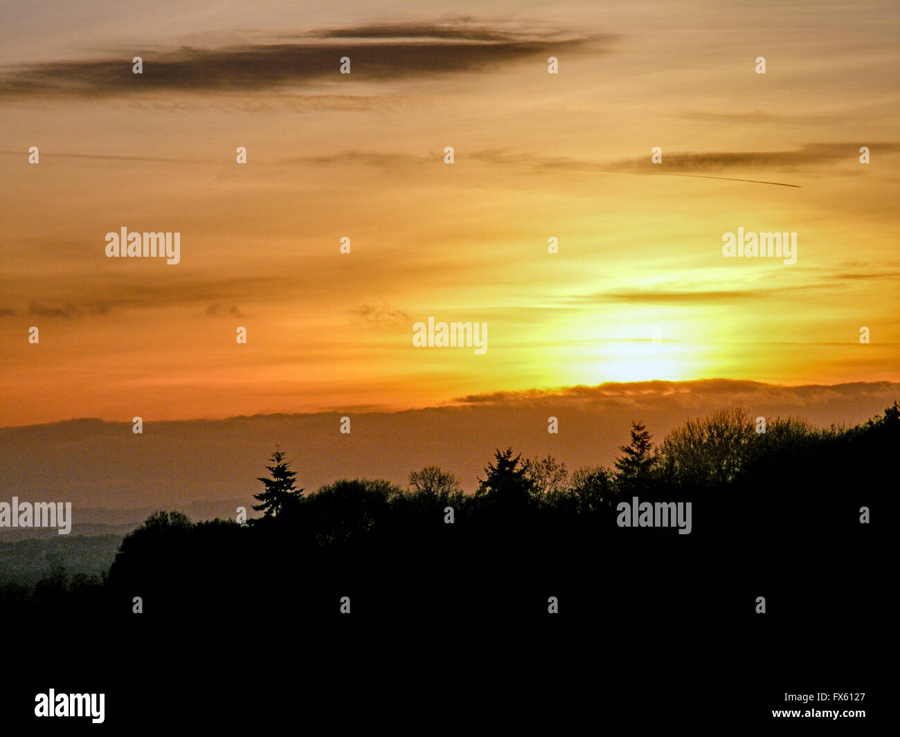 Chaddesley woods hi-res stock photography and images - Alamy