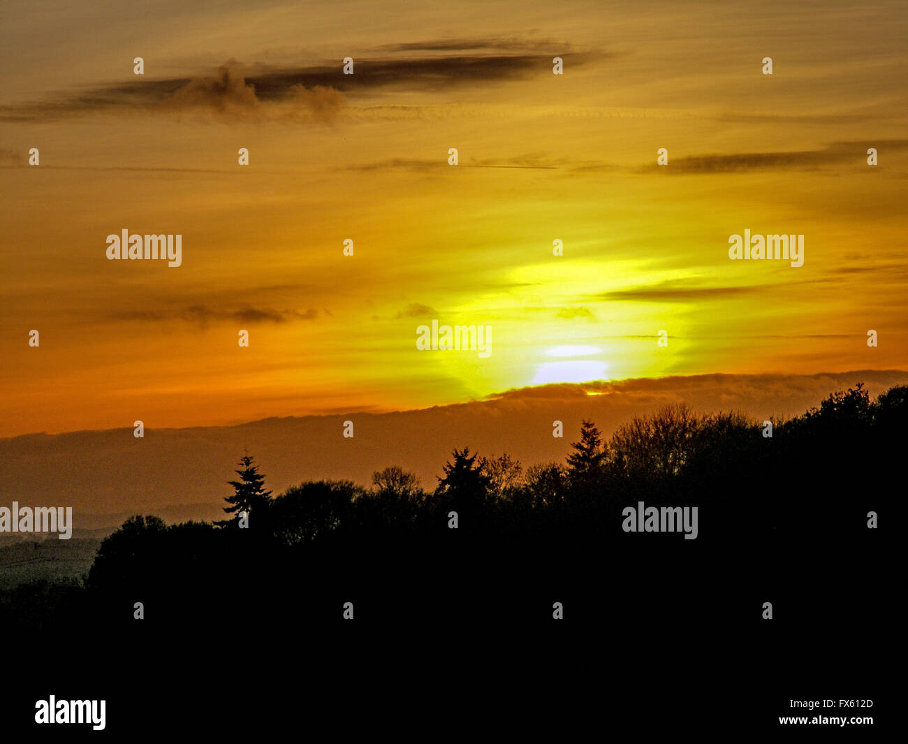 Chaddesley woods hi-res stock photography and images - Alamy
