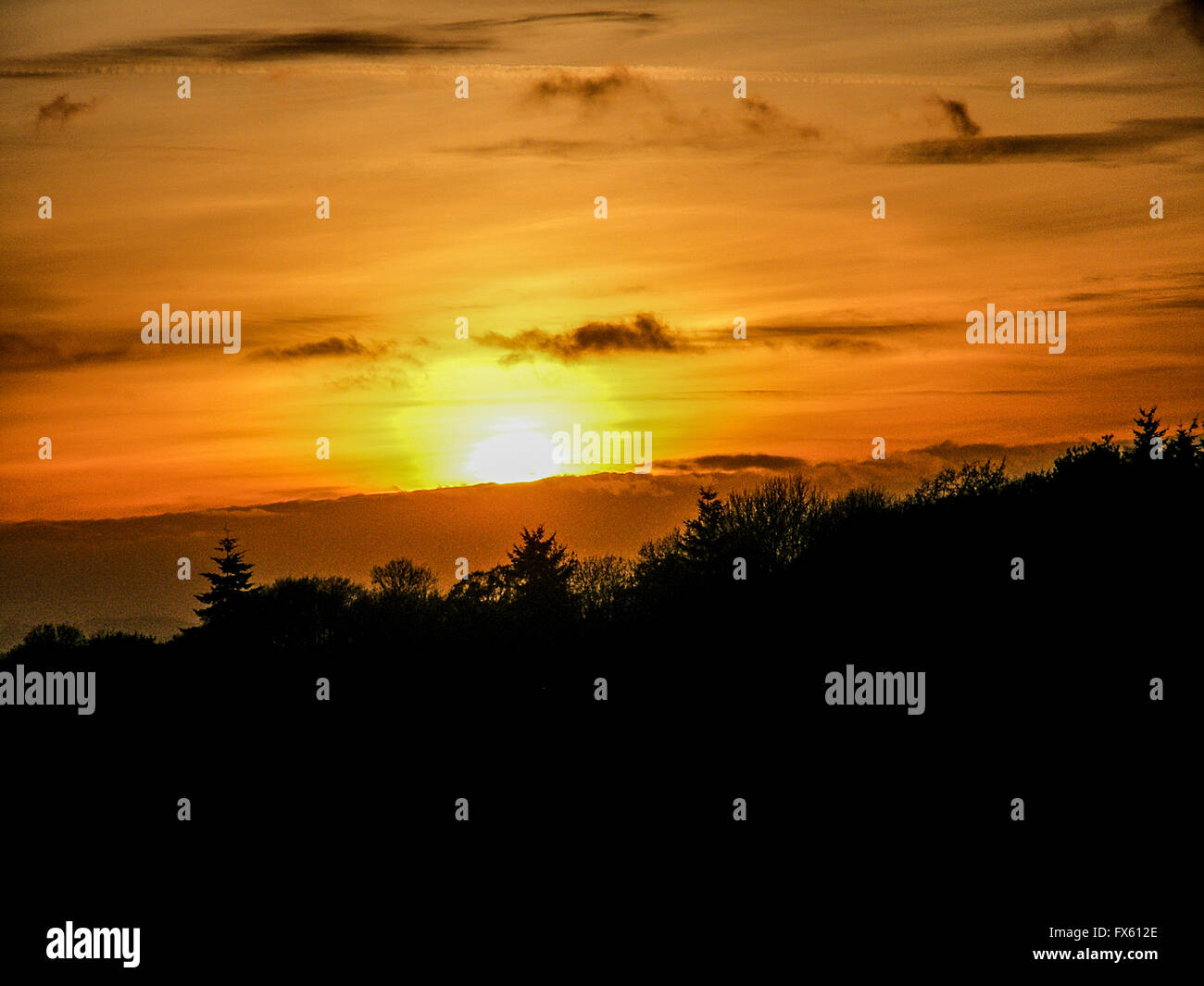 Chaddesley woods hi-res stock photography and images - Alamy