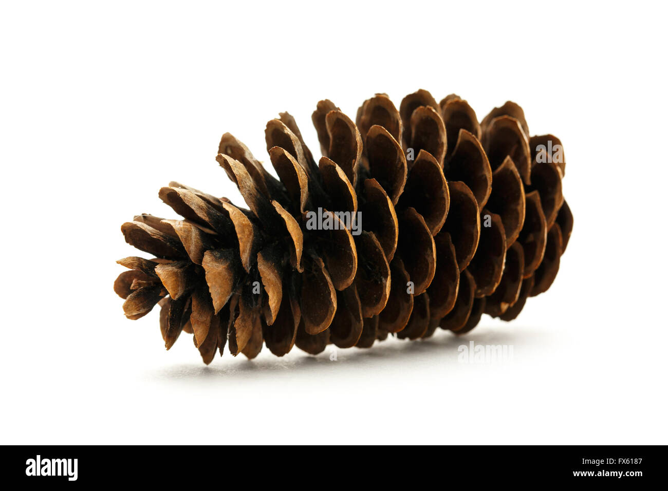 Dry cone hi-res stock photography and images - Alamy