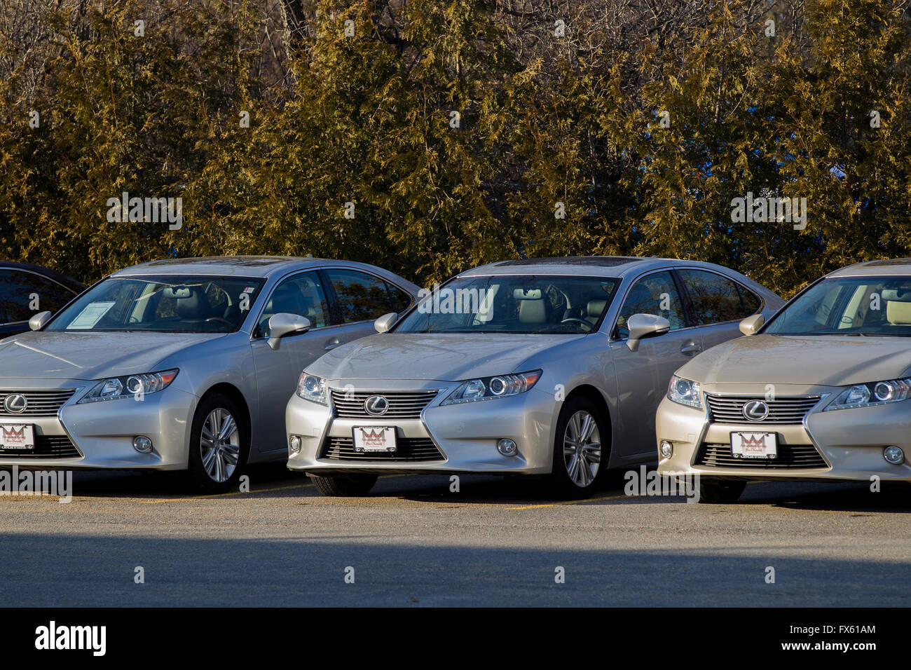 Lexus car dealership in Kingston, Ont., on Thursday Jan. 7, 2016 Stock ...