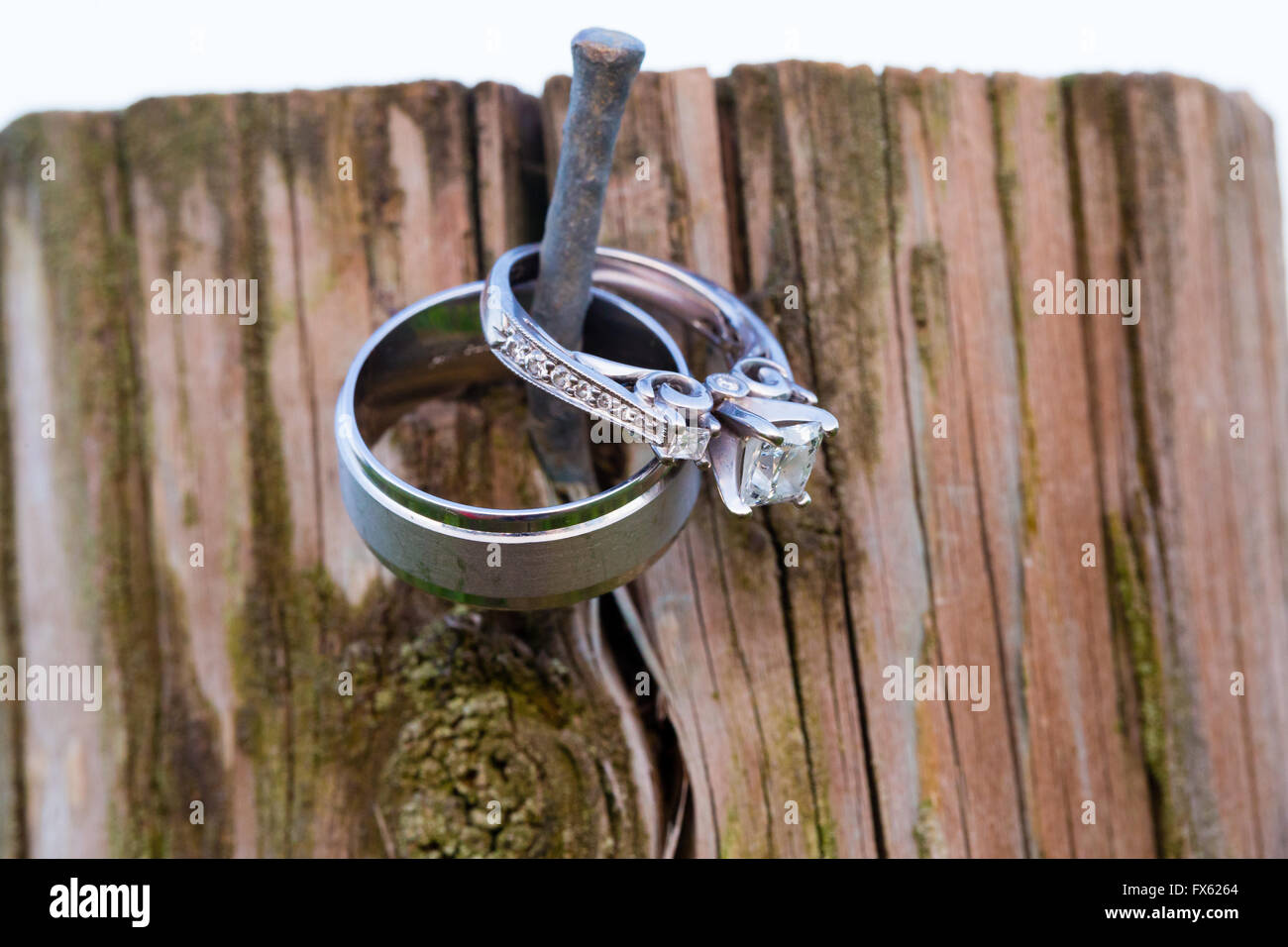 Wedding rings photographed outdoors at a ceremony and reception in ...