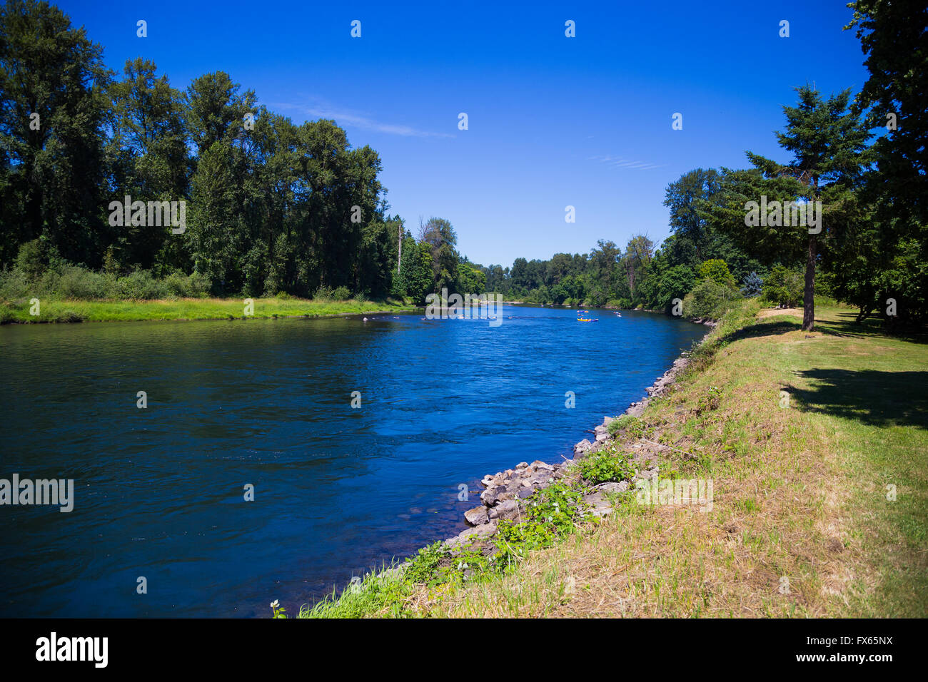Springfield Oregon's McKenzie River flows on the edge of town slowly ...