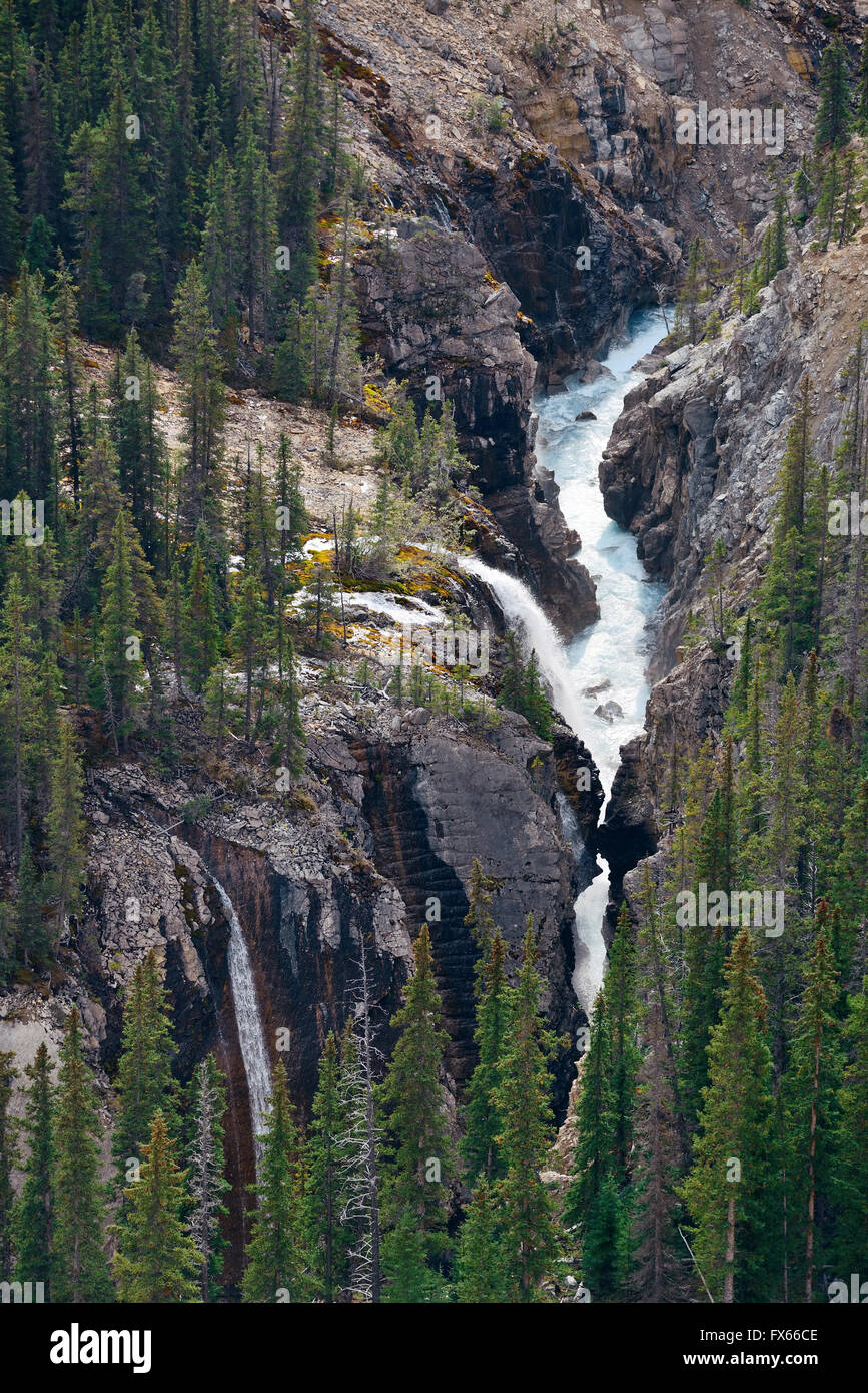 Forest and waterfall in Banff National Park, Canada Stock Photo - Alamy