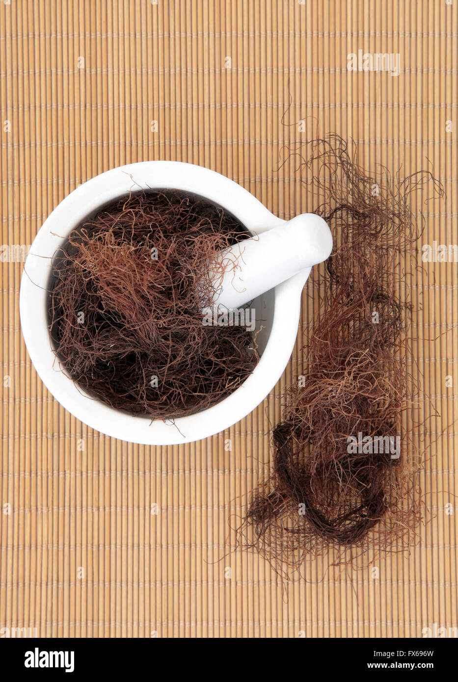 Corn silk herb in a mortar with pestle over bamboo background. Zea mays ...