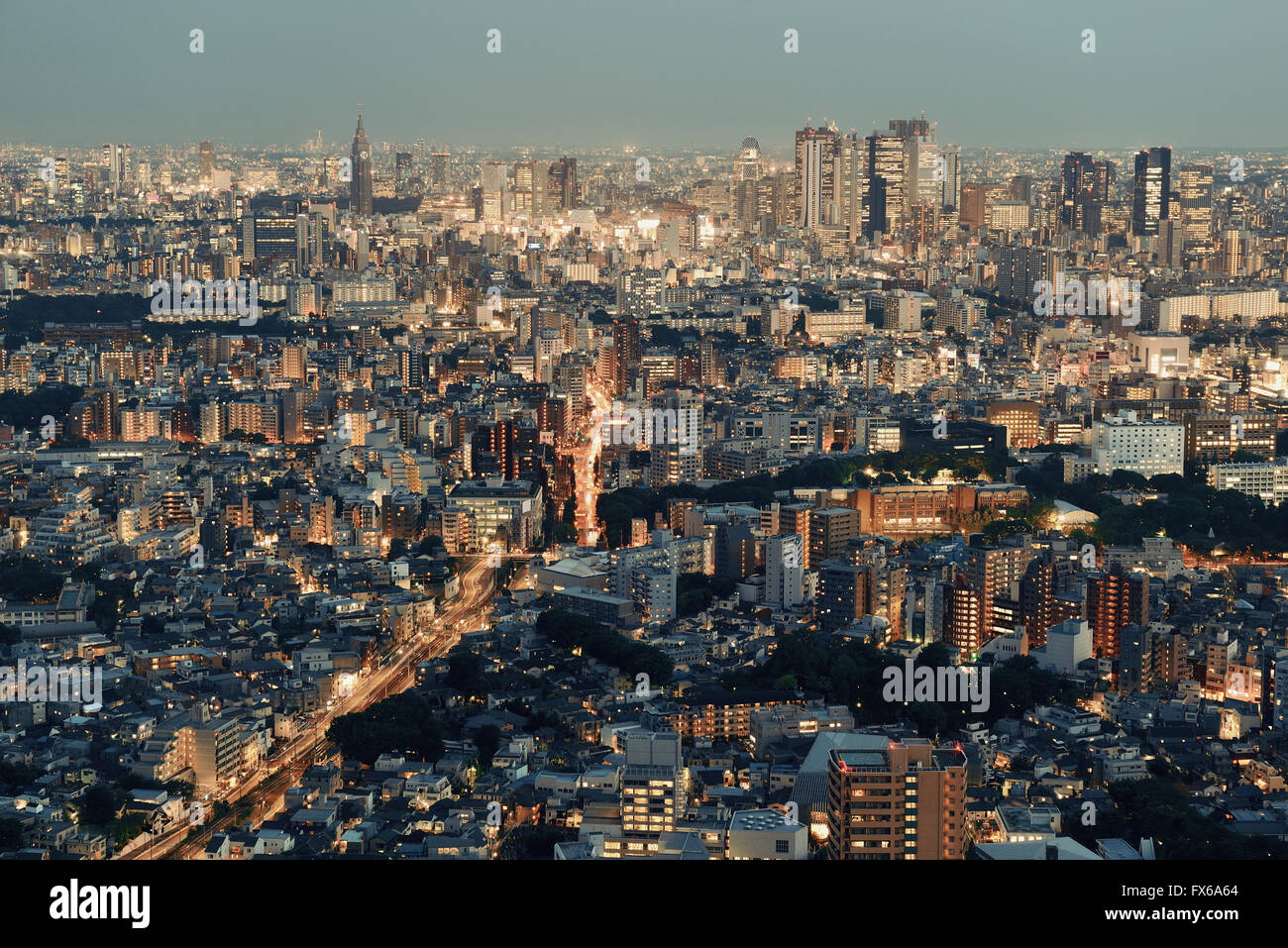 Tokyo urban skyscraper skyline rooftop view at night, Japan Stock Photo ...
