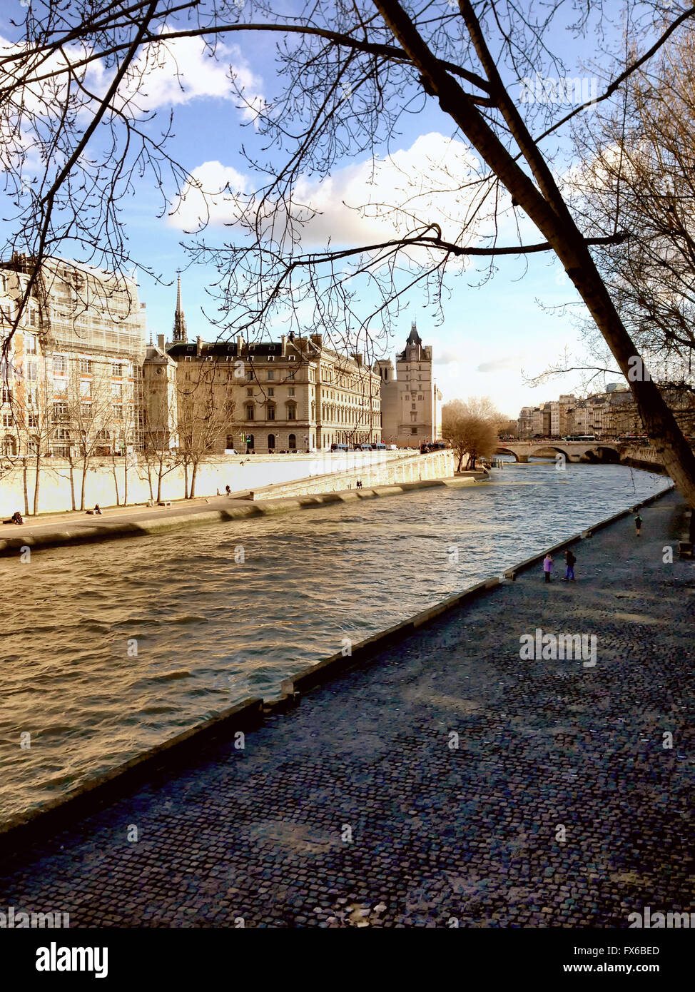 Looking at historical Parisian architecture by Seine river through tree ...