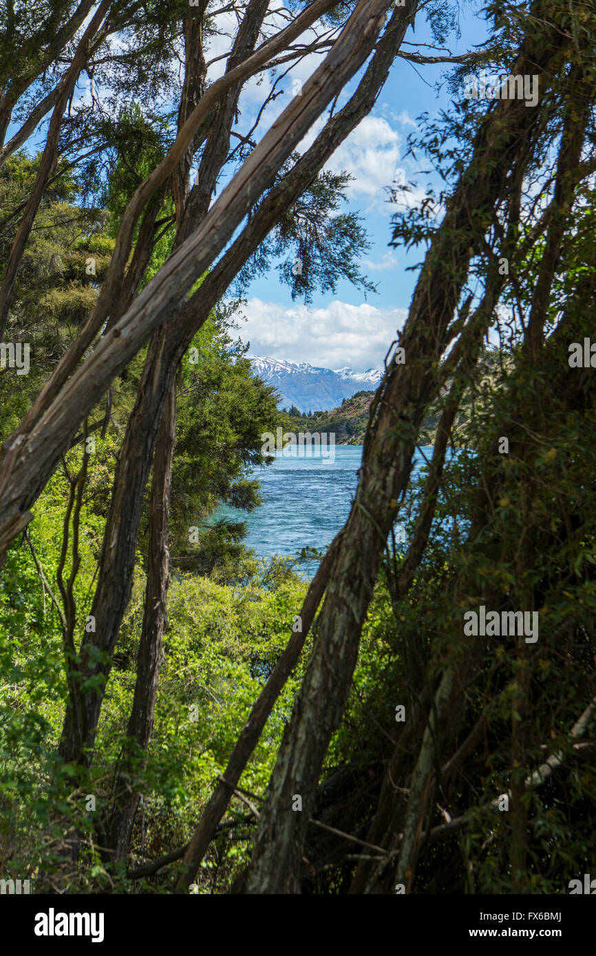 River in remote landscape through trees Stock Photo - Alamy