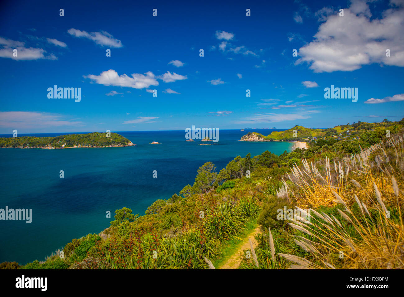 Lush cliff and remote seascape Stock Photo - Alamy