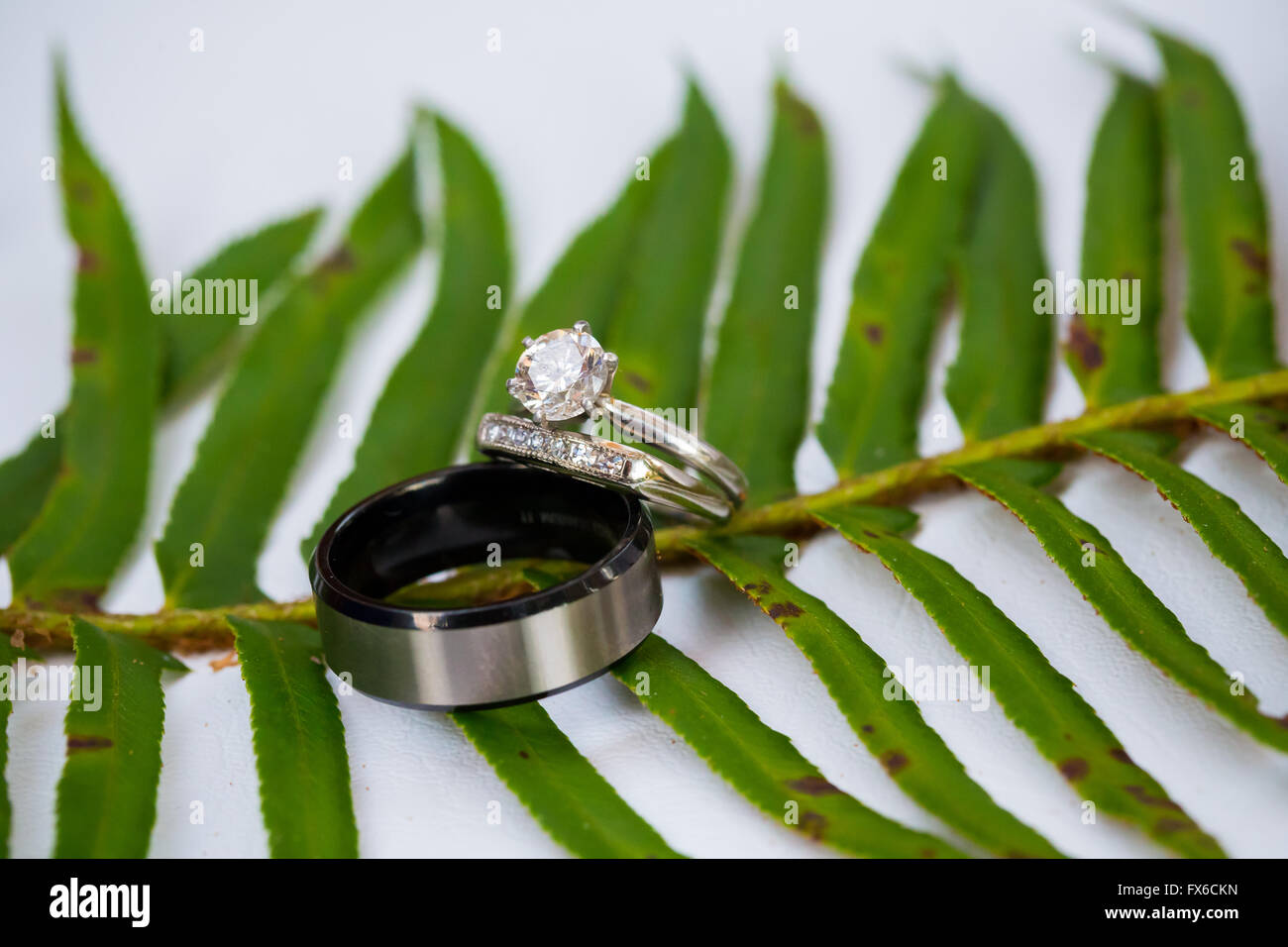 Bride and groom wedding rings photographed in color with a closeup ...